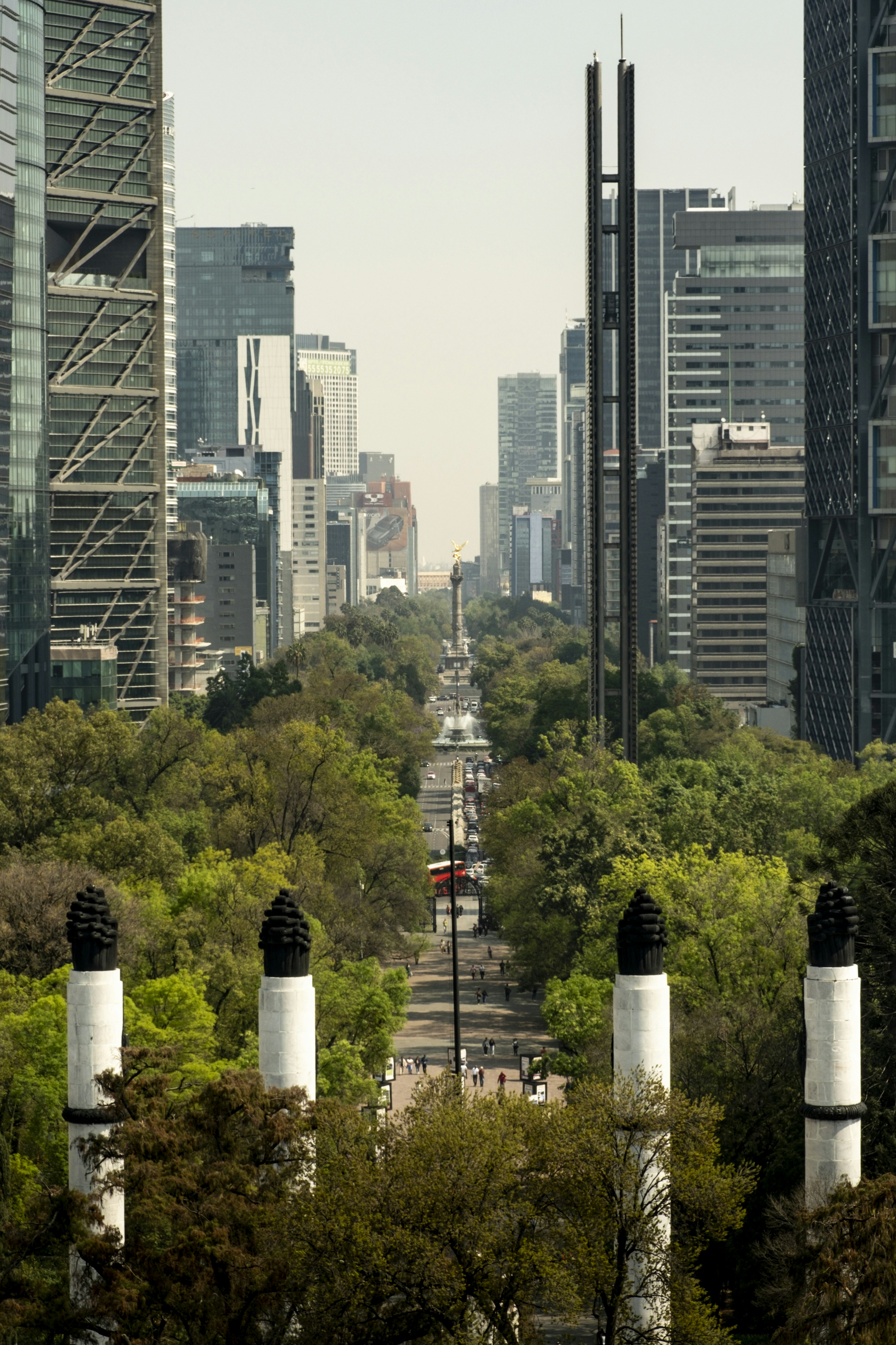 Urban Axis: Tree-Lined Boulevard Framing a Distant Monument