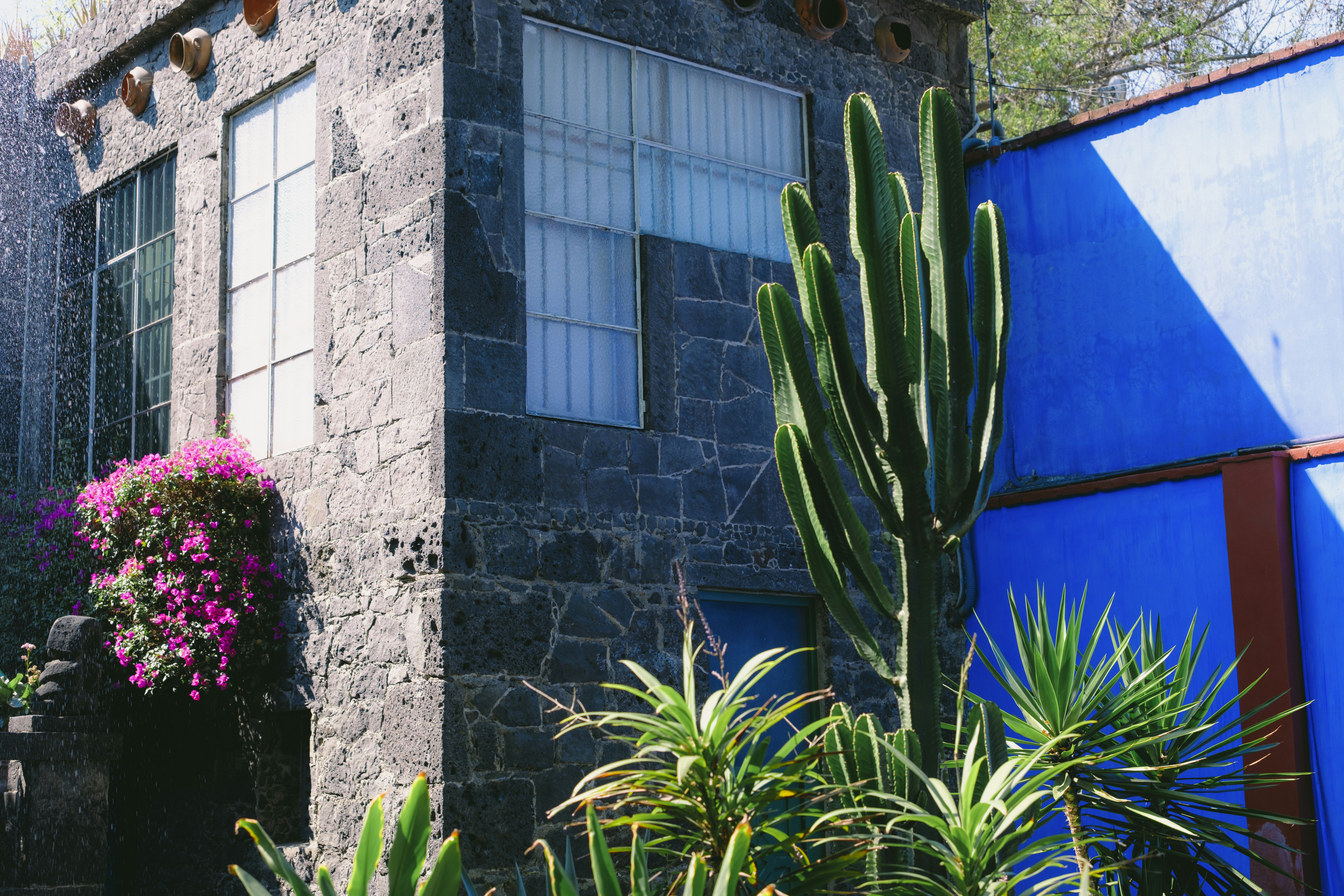 Stone building with vibrant pink flowers and a tall cactus against vivid blue walls.