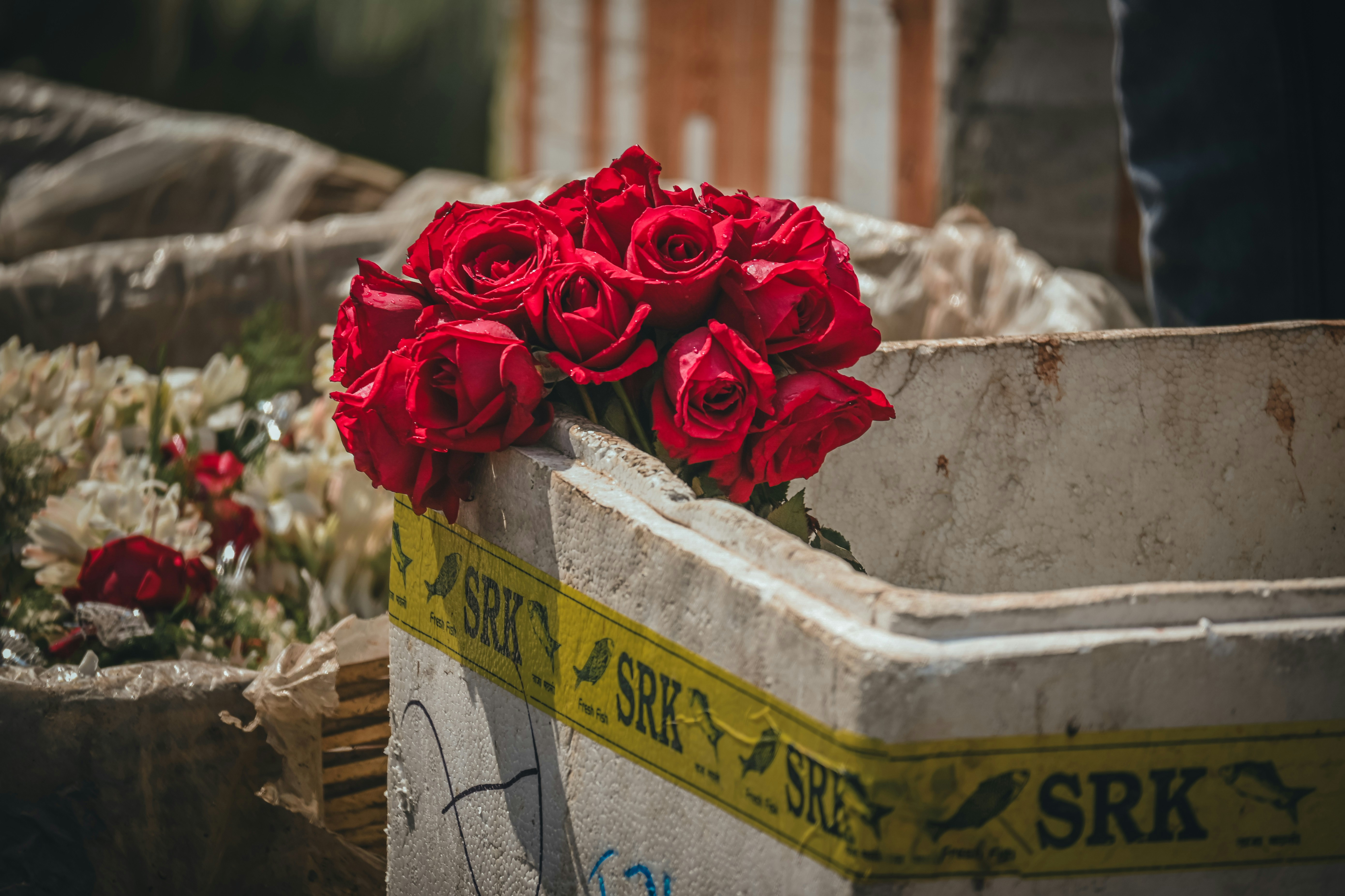 A bunch of red roses sitting on top of a trash can photo – Free Blossom ...