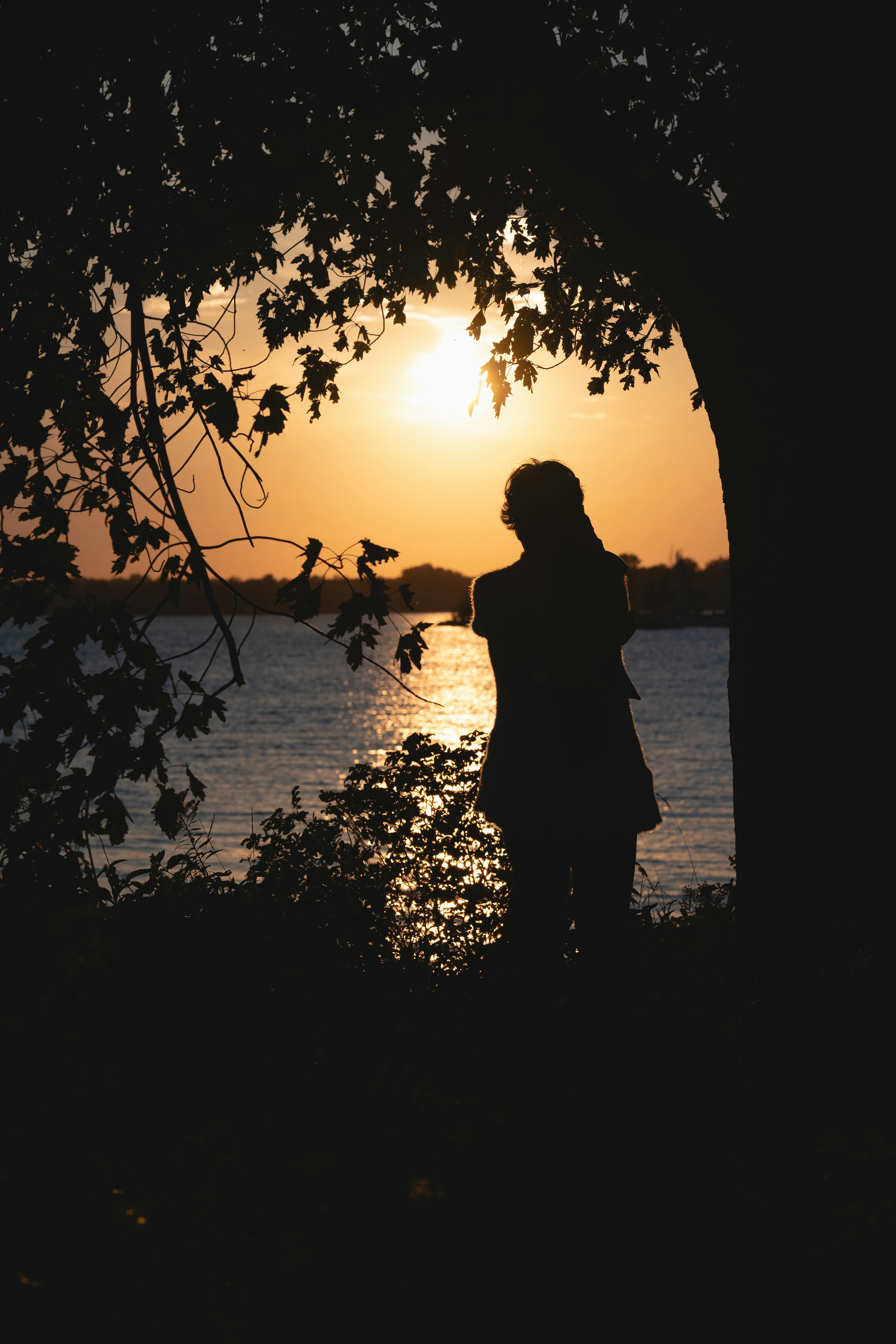 Silhouette of a person by a tree, overlooking a lake during sunset.