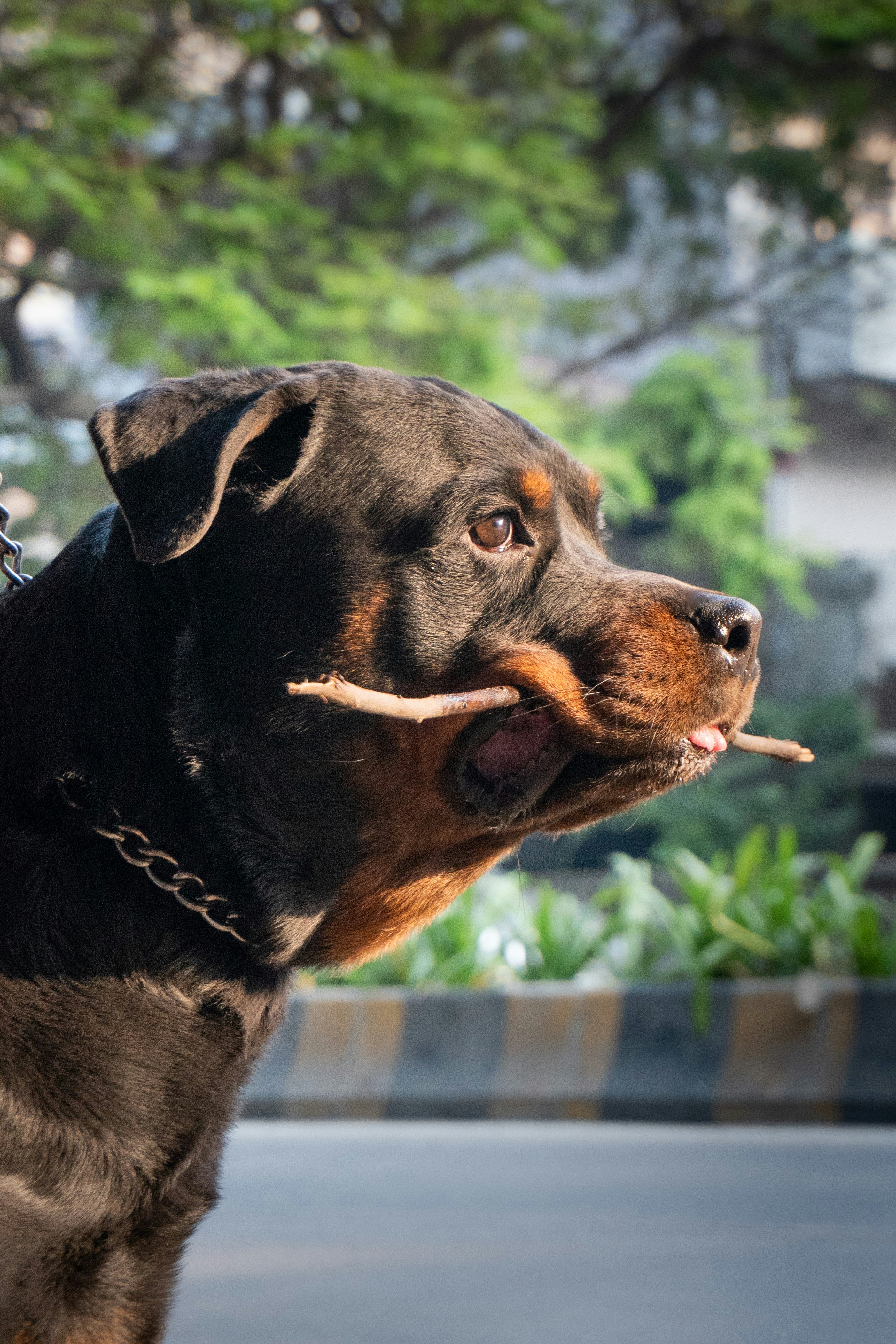 Sample photo from SONY ZV-E10