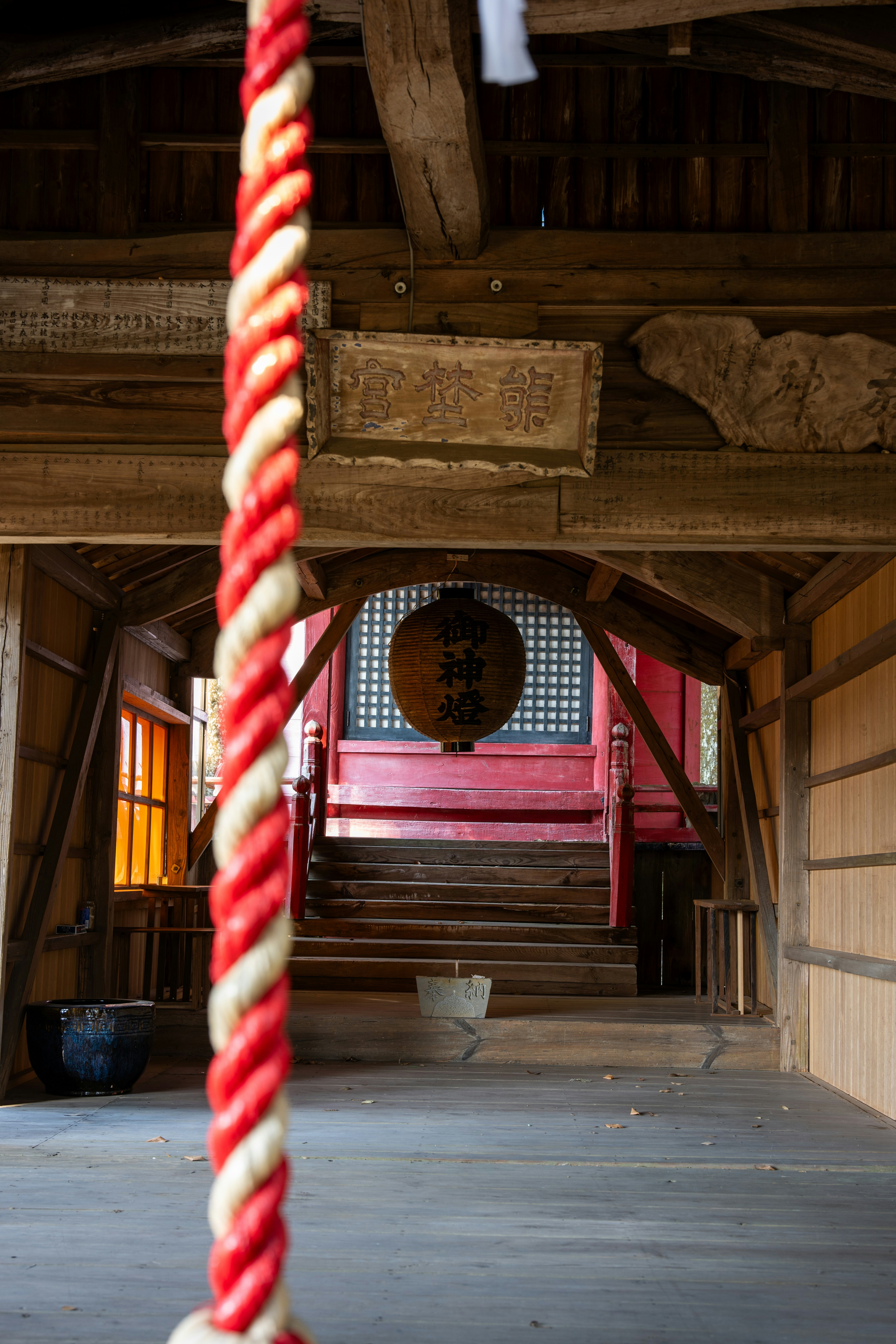 Sample photo from Nikon Z6 III