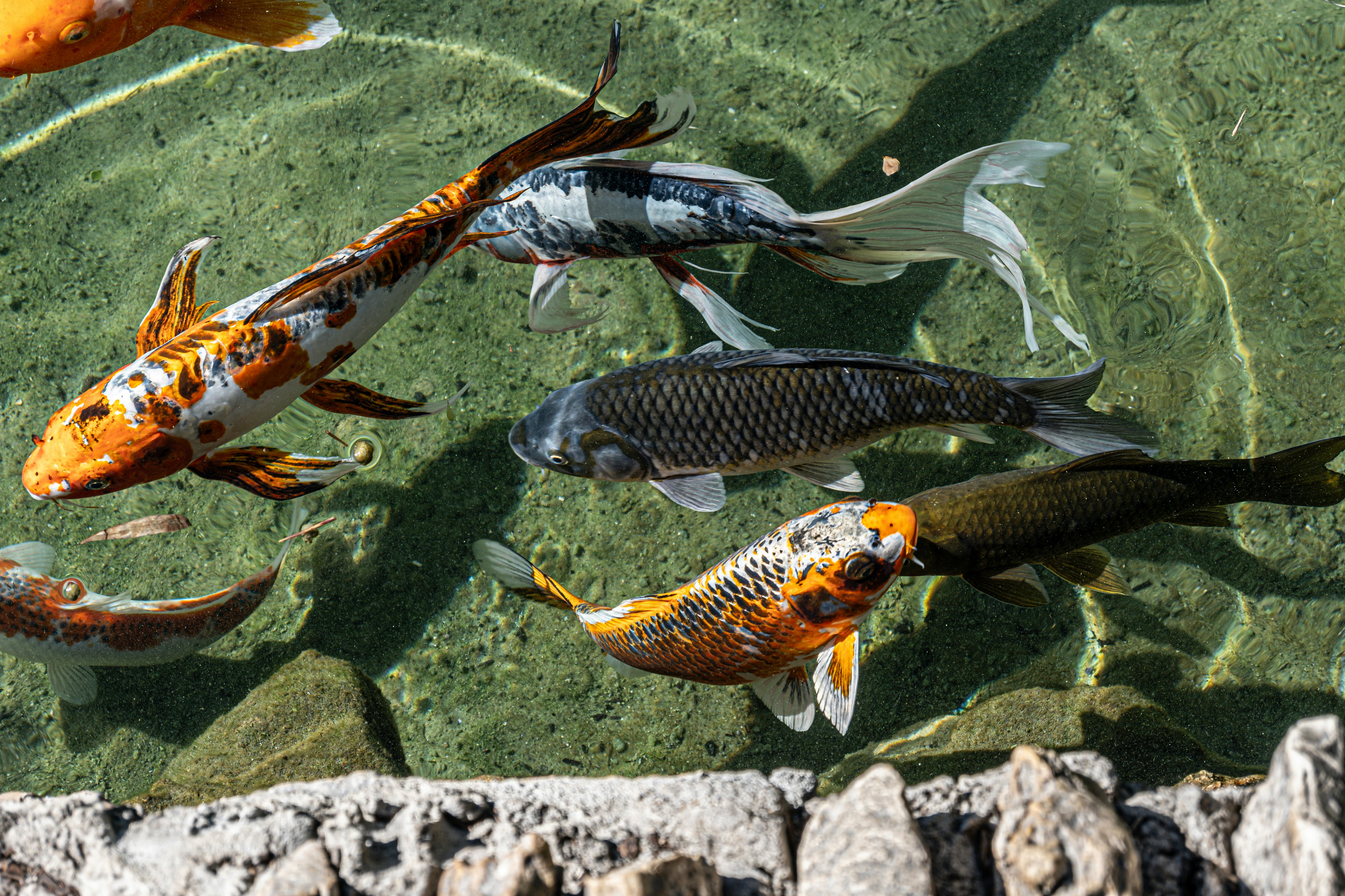 Photo by Dheeraj M with Nikon Z50