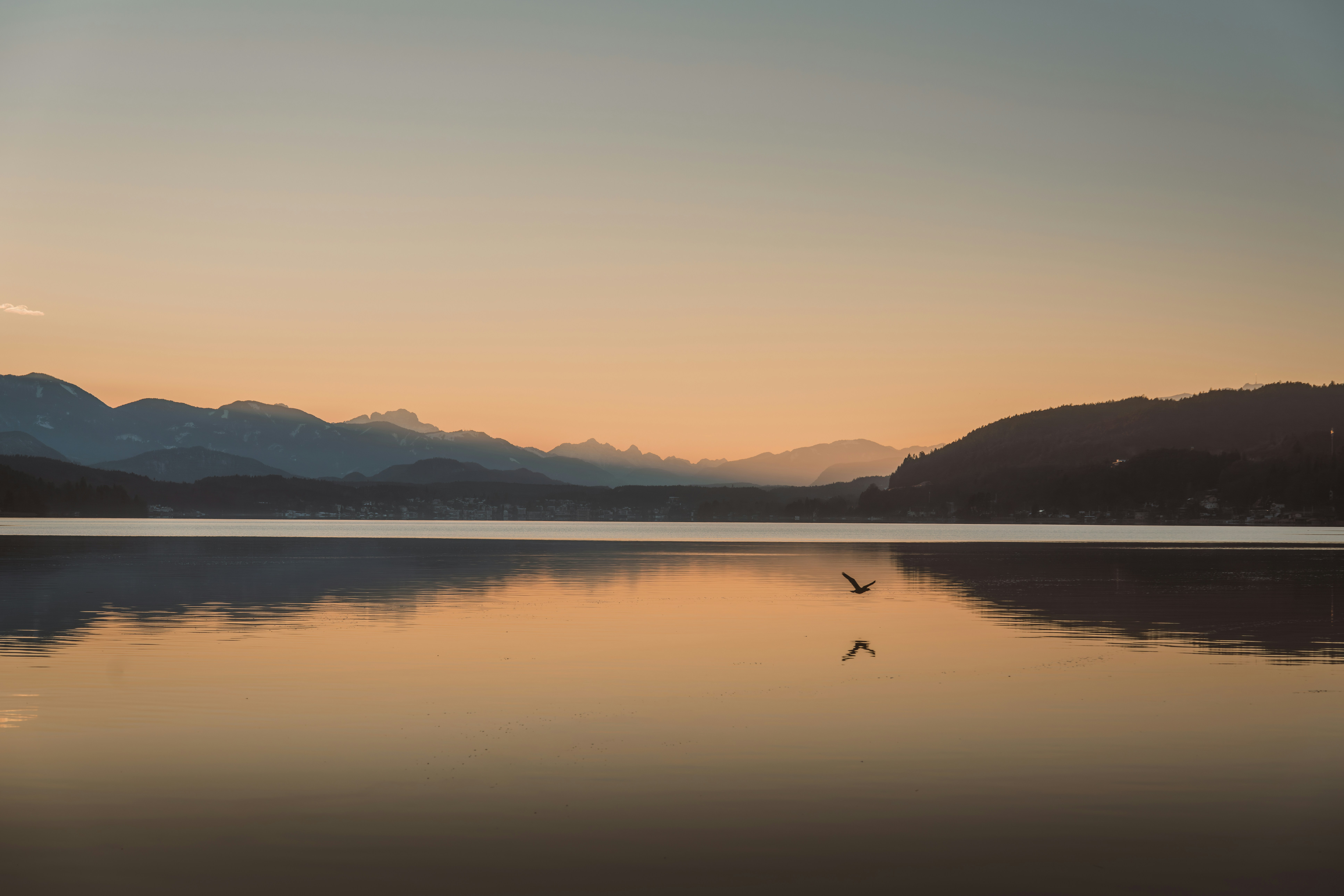 Lone bird gliding across a tranquil lake at sunset, with distant mountains silhouetted under a gradient sky transitioning from orange to blue.