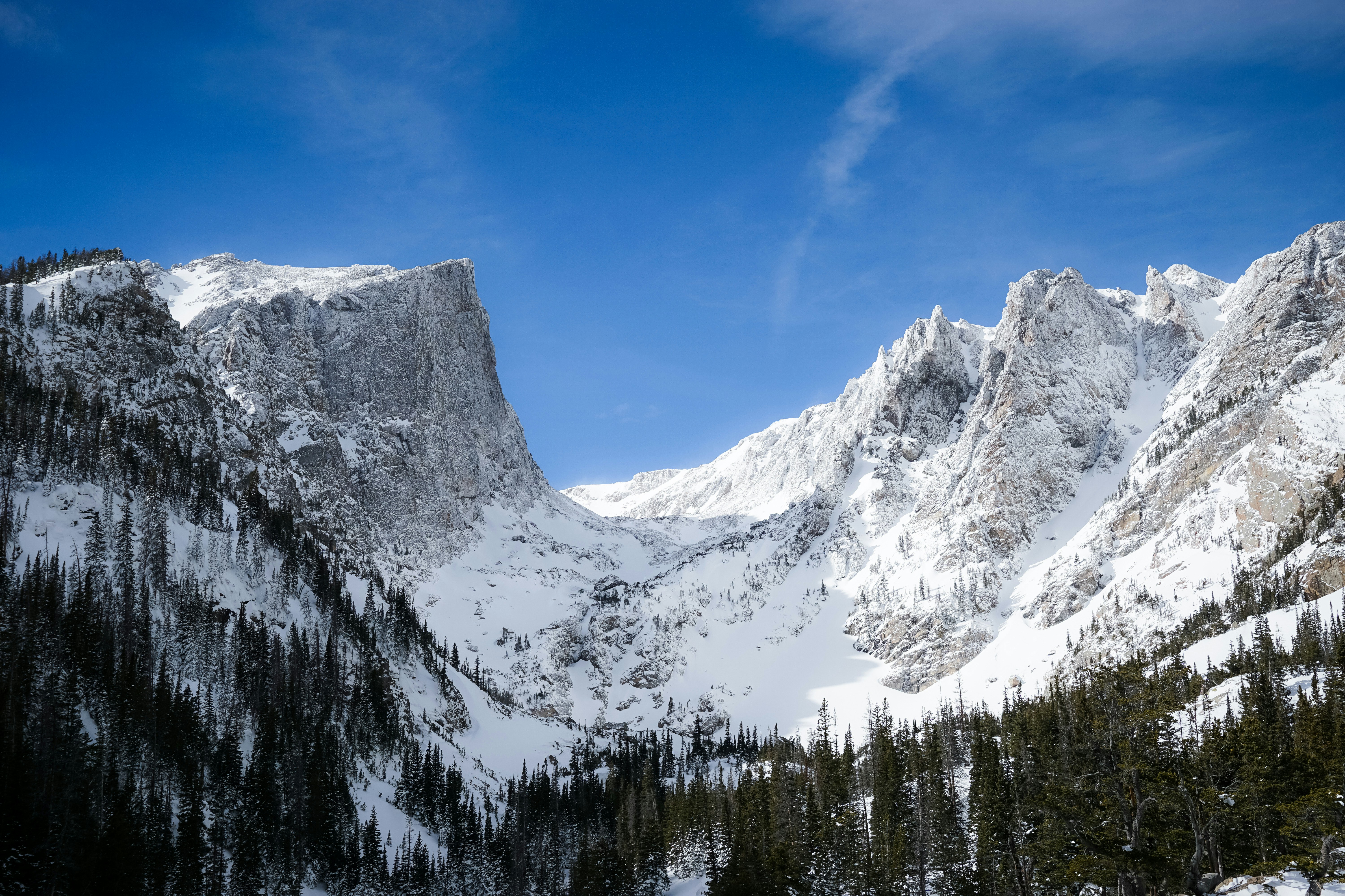 A snow covered mountain range with trees and snow photo – Free Colorado ...