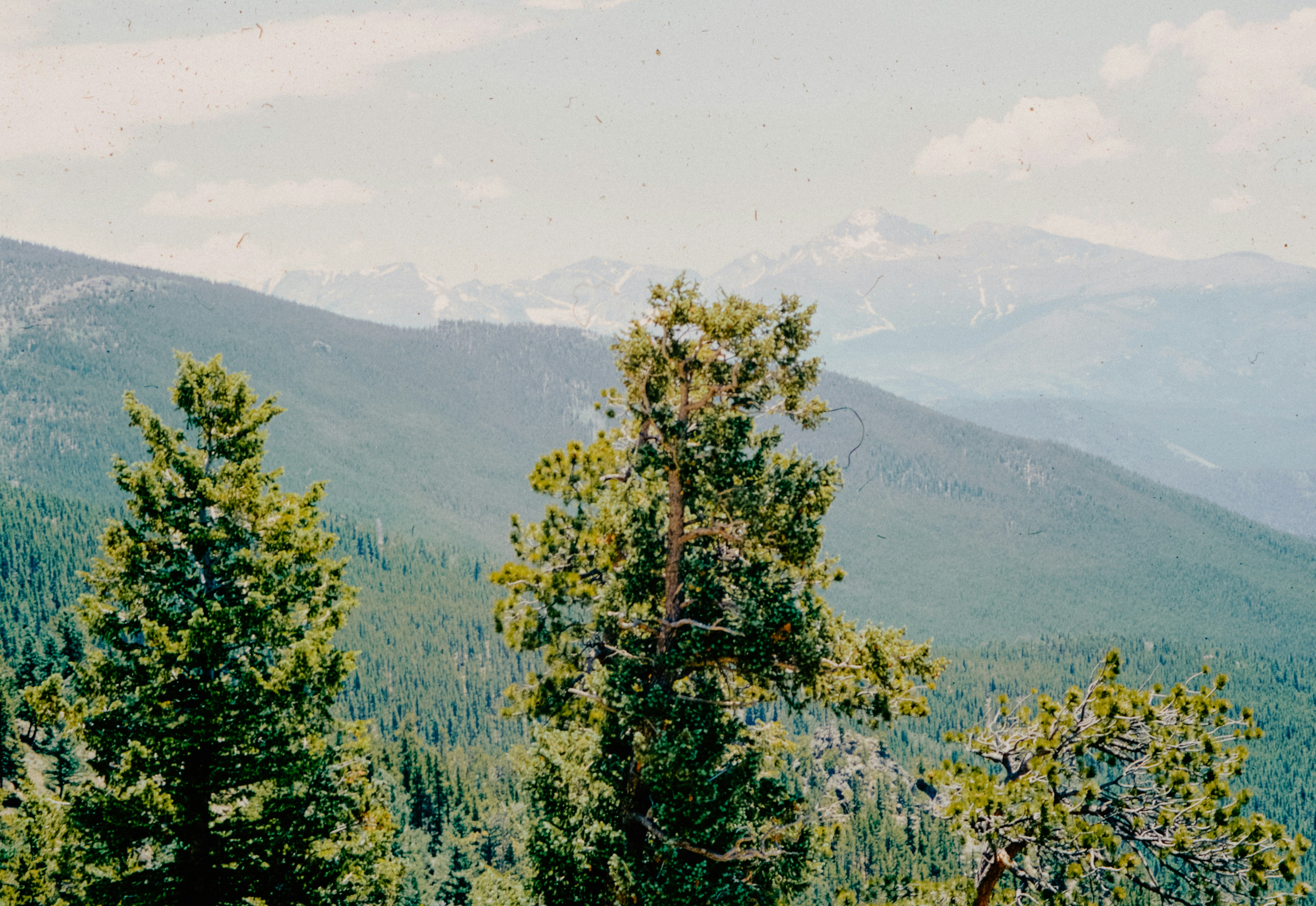 Annie Spratt (@anniespratt) | Communauté photos Unsplash