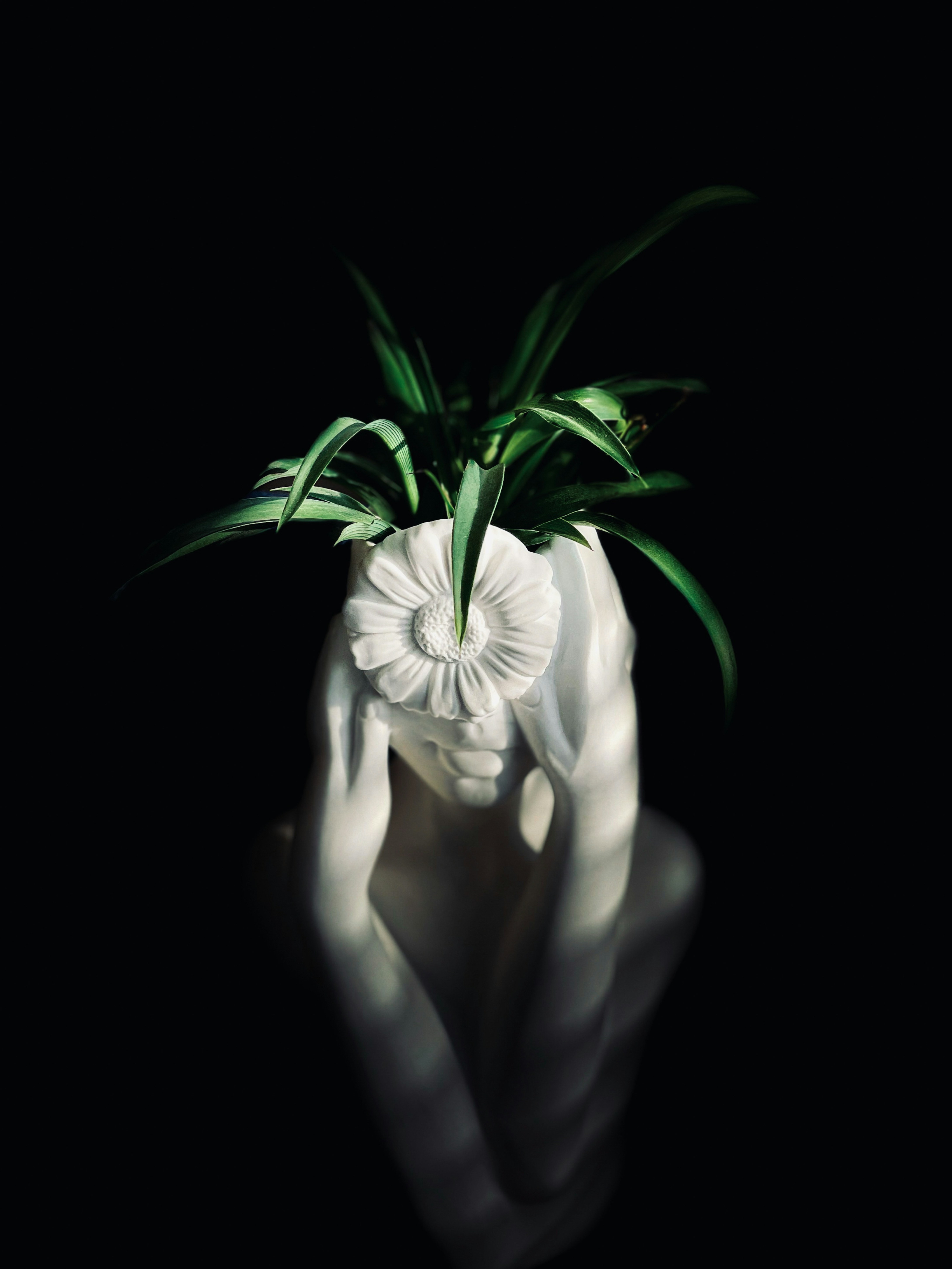 Cradle of Quiet: Marble Hands Embrace a Green Bloom