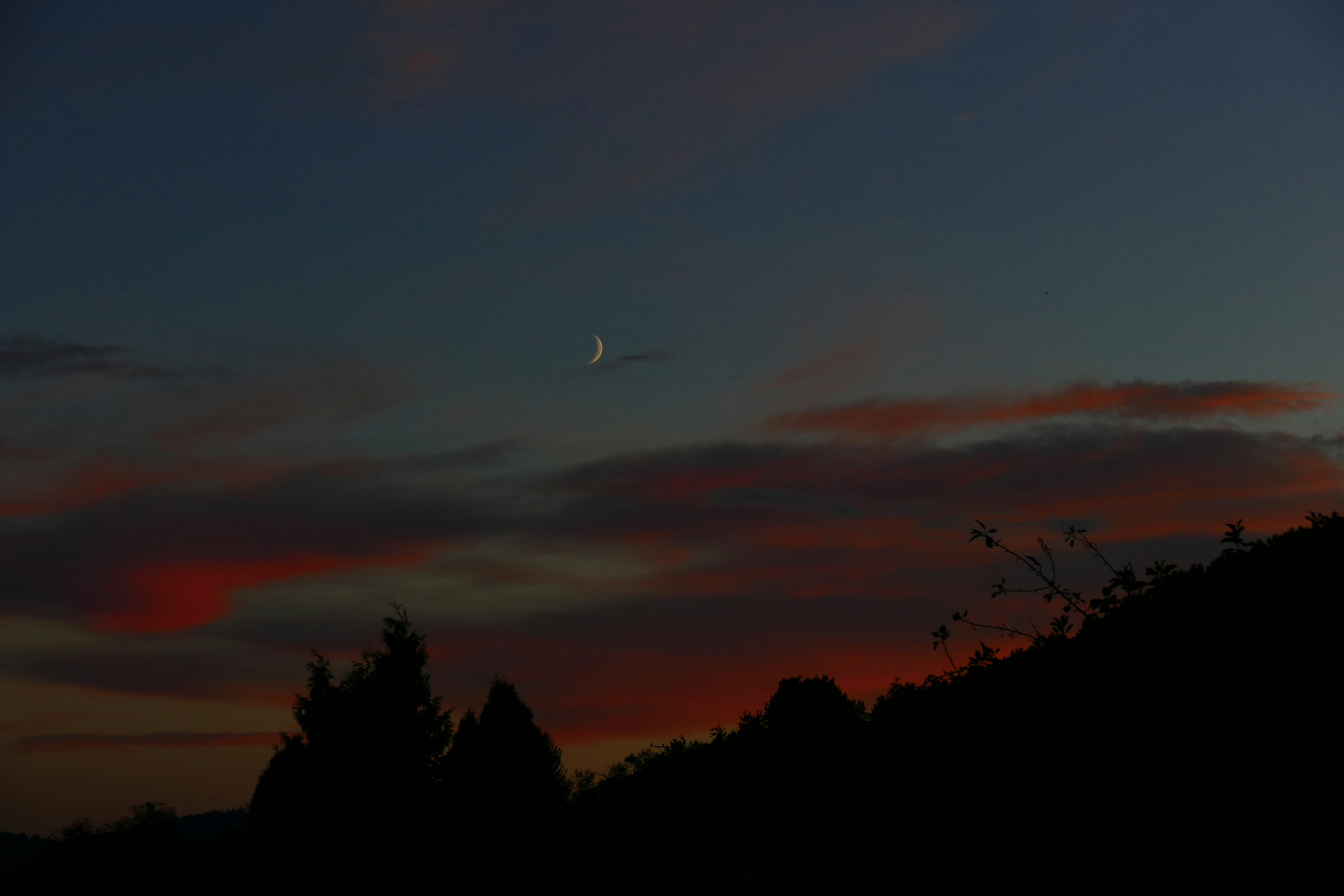 Crescent moon hangs over silhouetted trees against a twilight sky with hues of red and blue.
