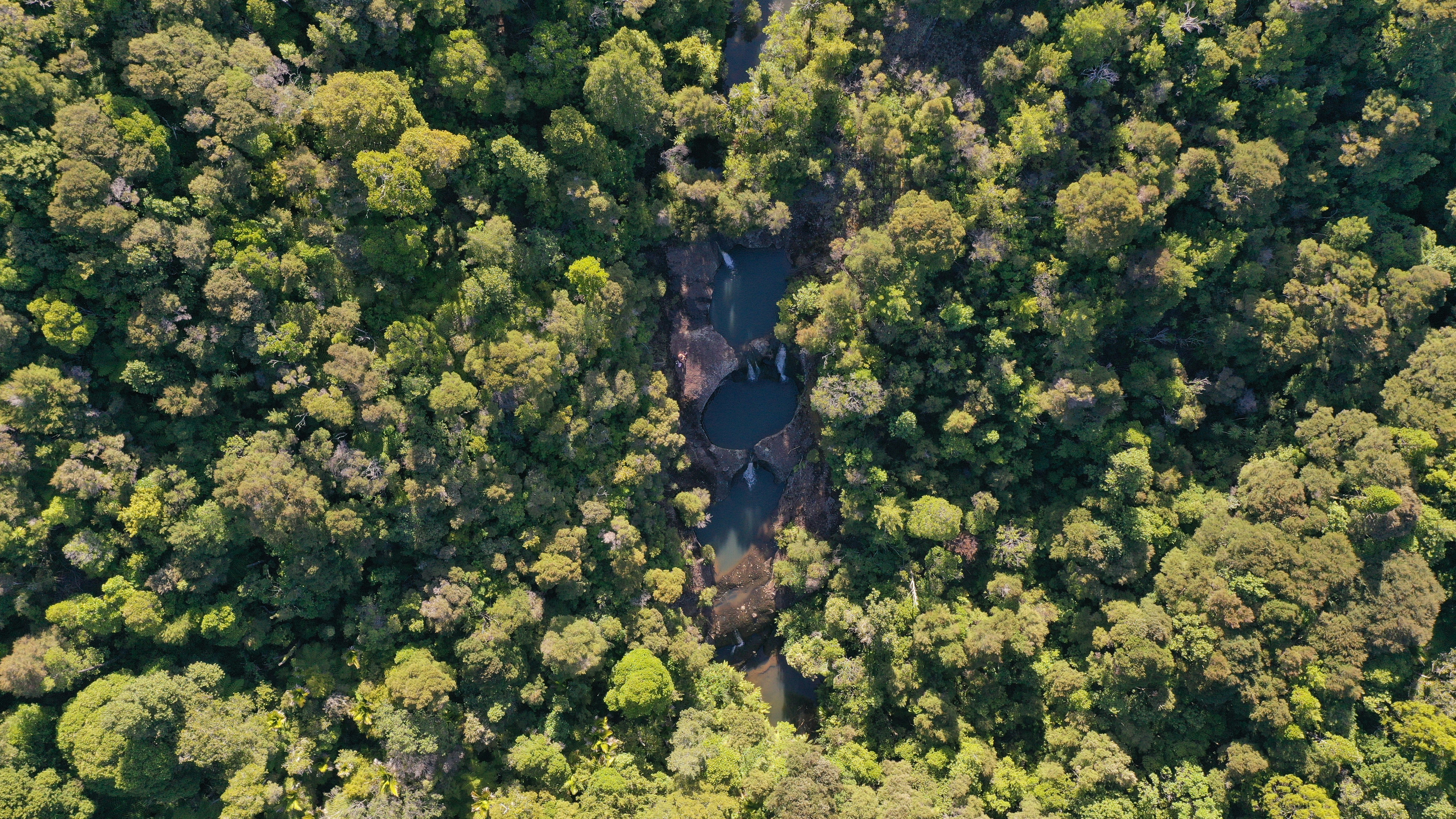 Secluded waterfall surrounded by dense green forest with sunlight filtering through the leaves.