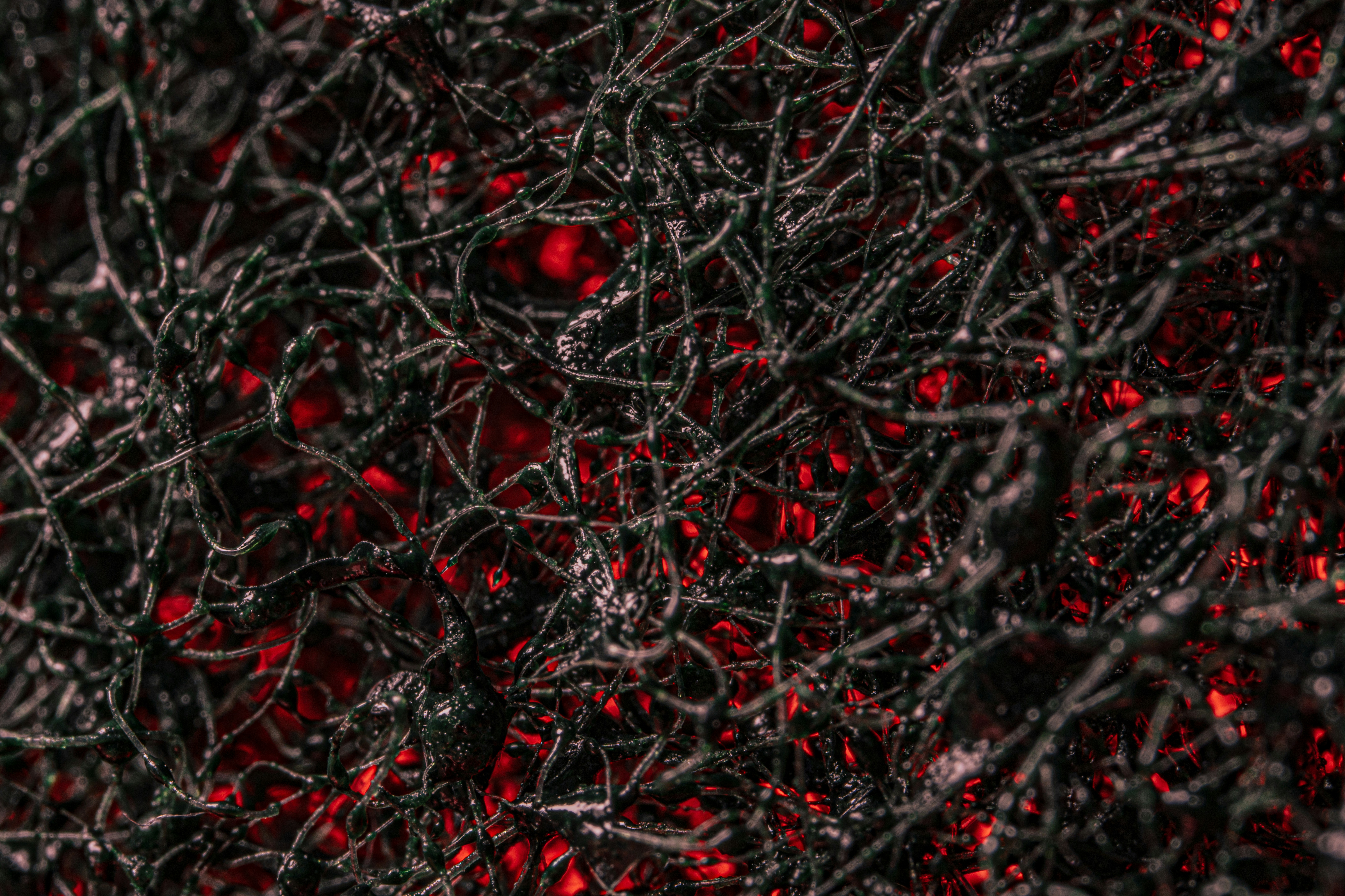 Dark, tangled fibers weave a chaotic pattern against a deep red background.
