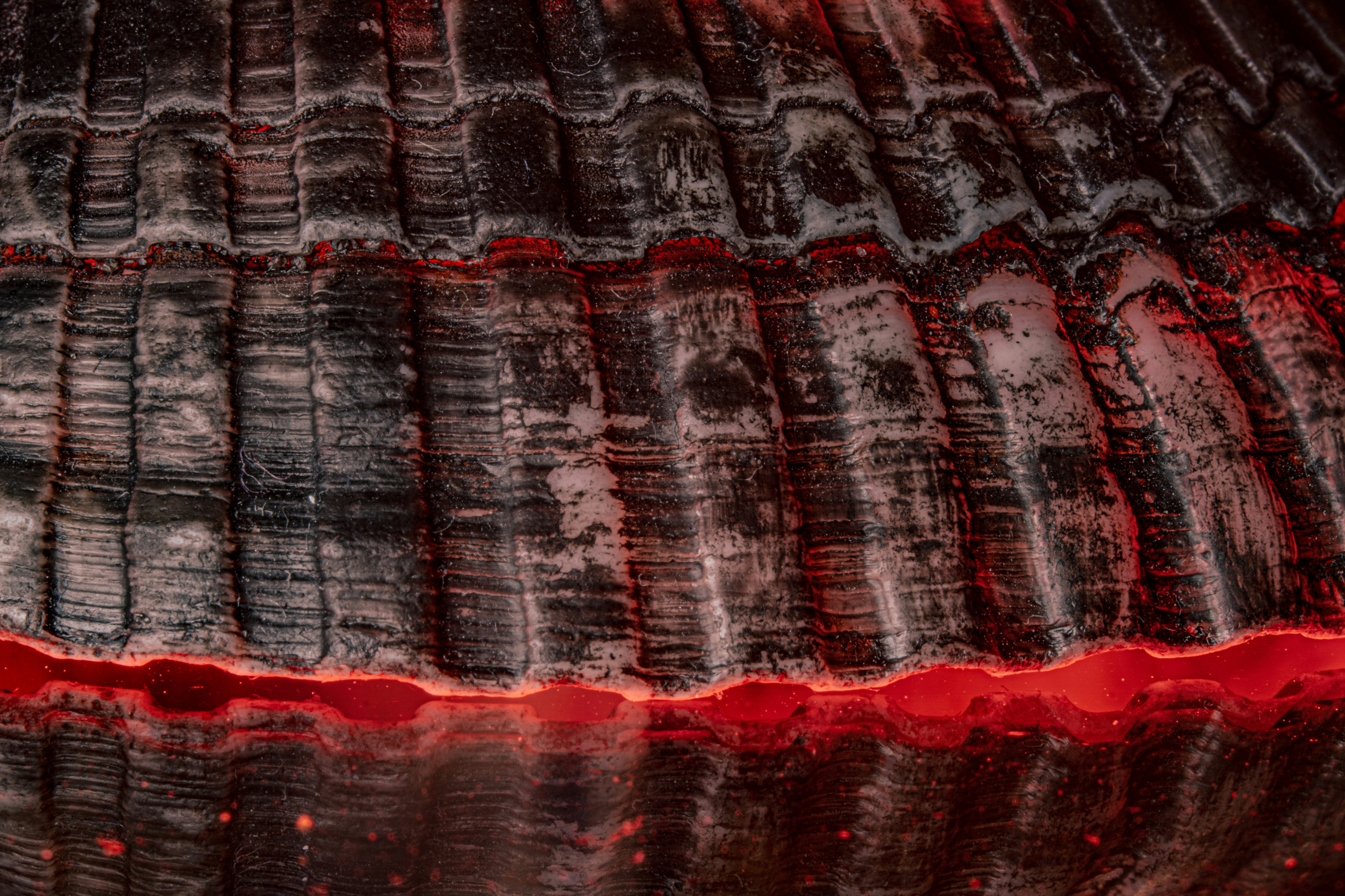 Fiery Mosaic of Nature's Artistry