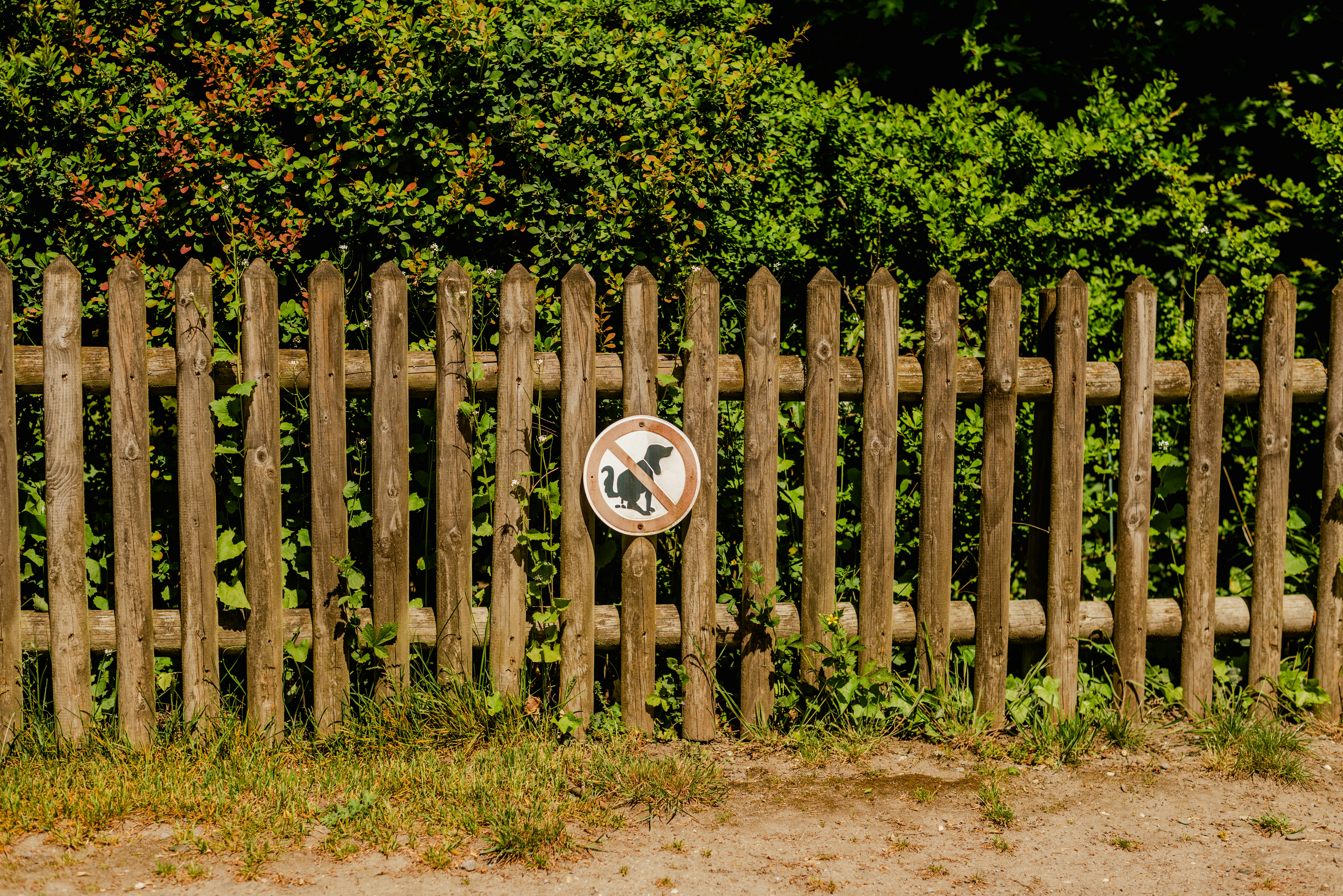 A wooden fence with a no parking sign on it