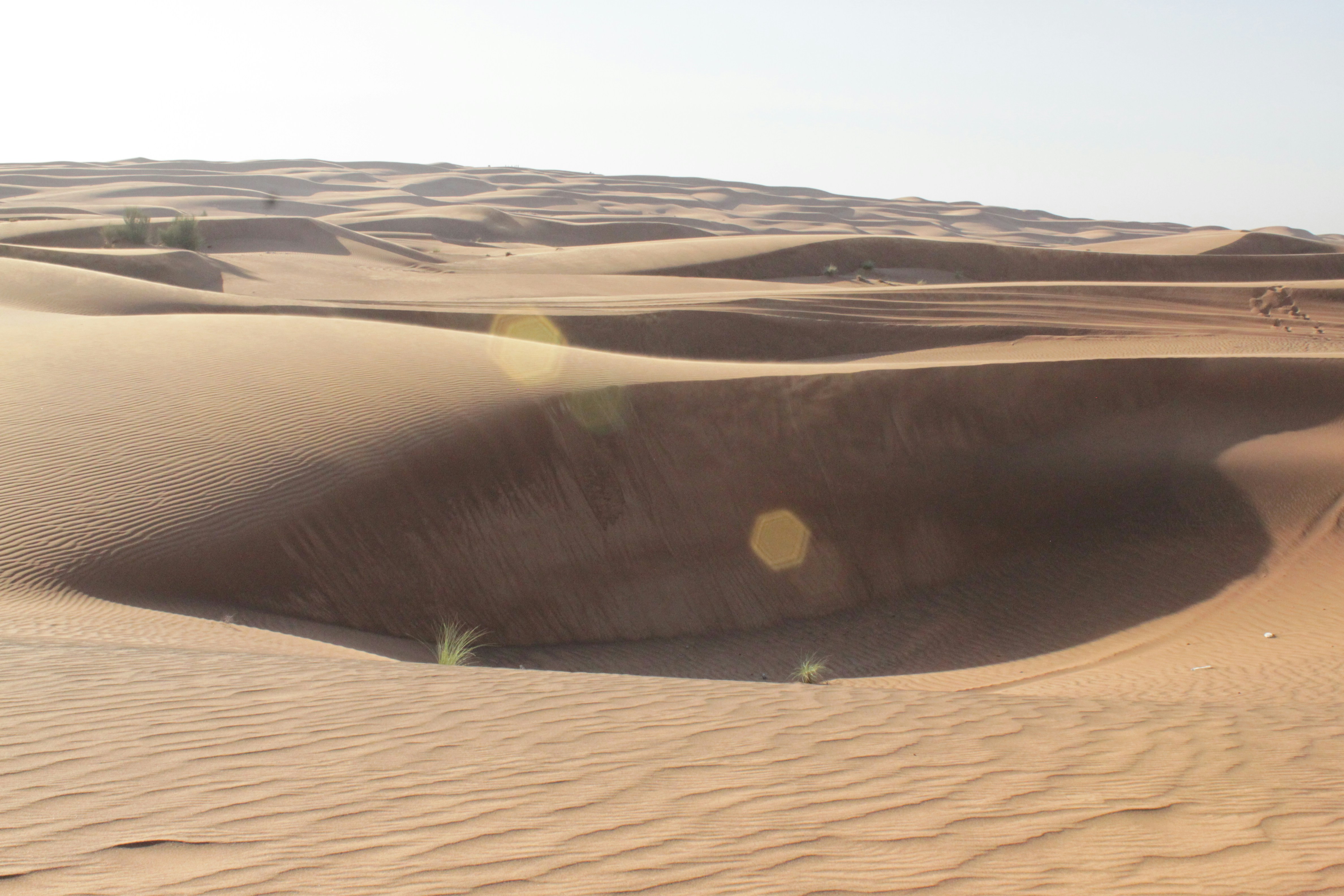Endless Waves of Golden Sand