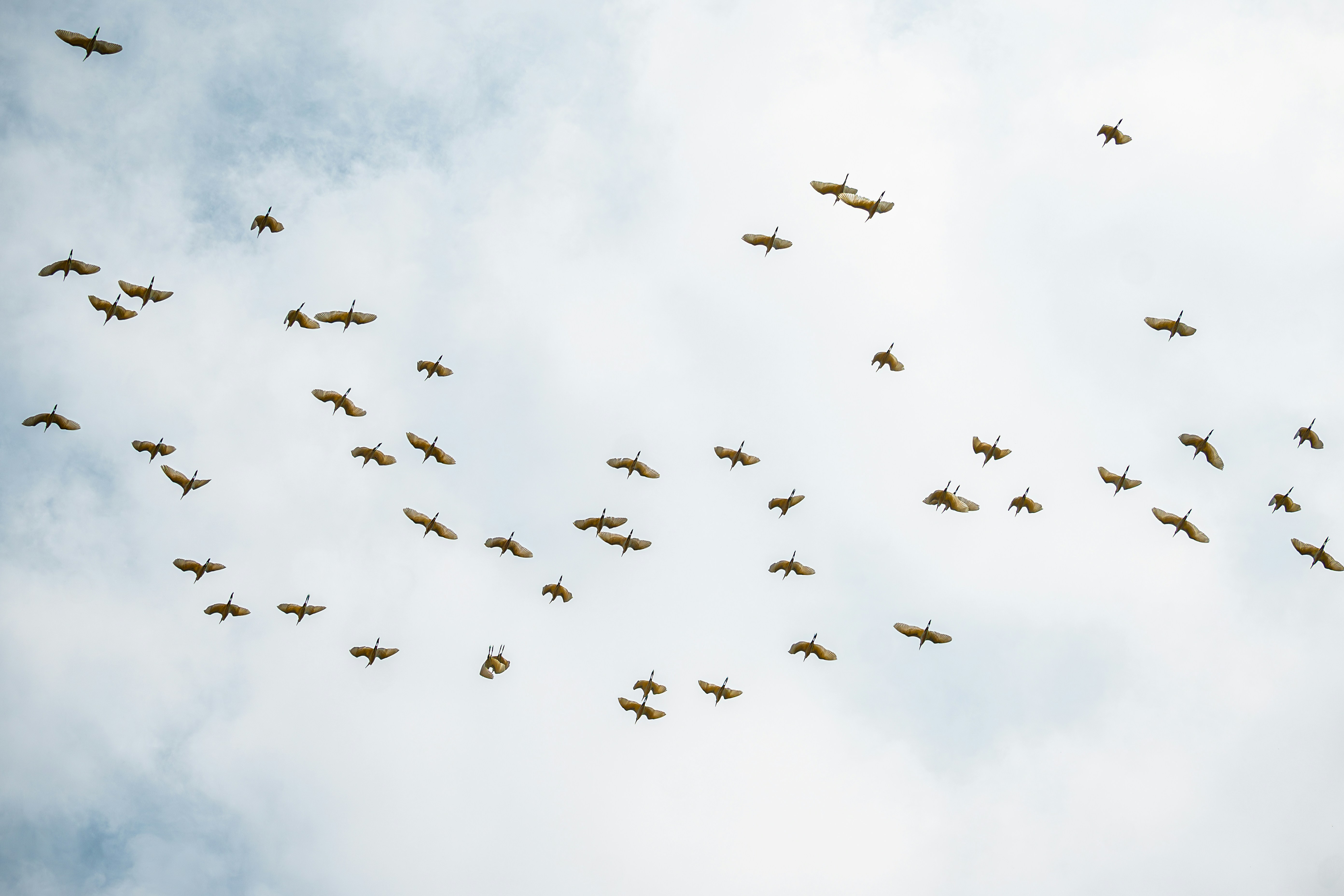 Sample photo from Nikon Z30