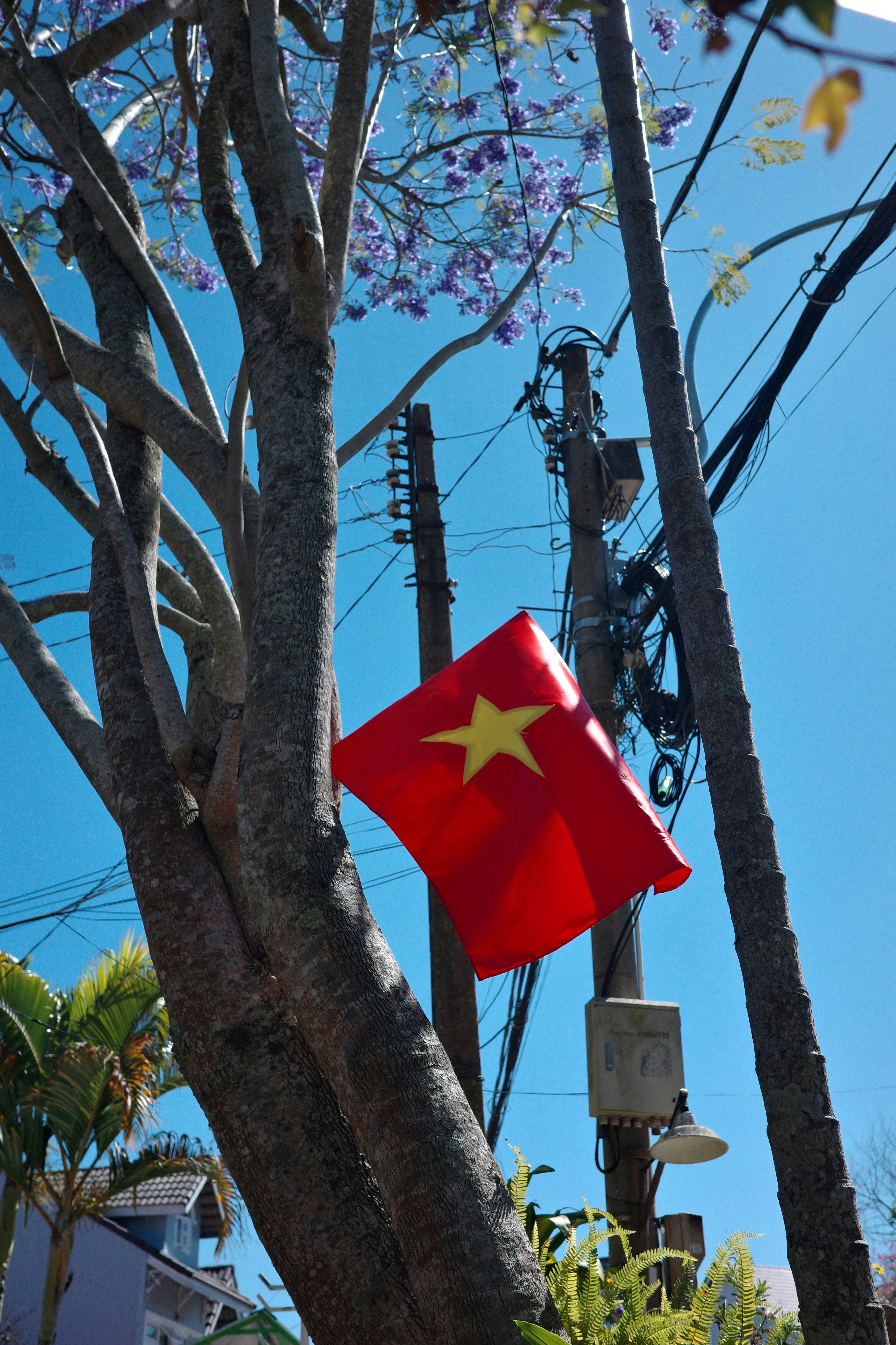 Red Star in the Urban Canopy: Flag Among Wires and Blue Sky