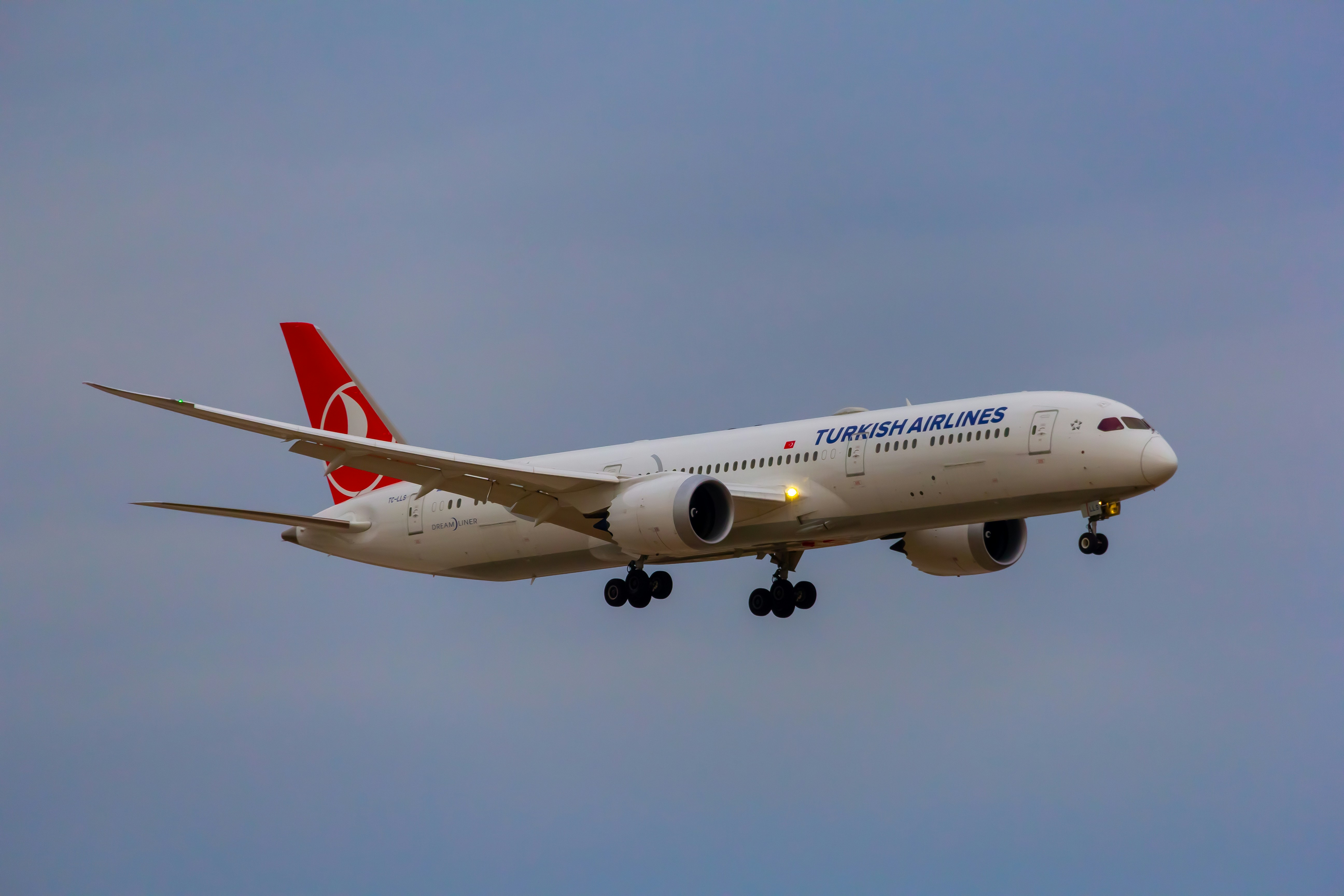 Descent under a calm blue canopy: Turkish Airlines jet in close approach