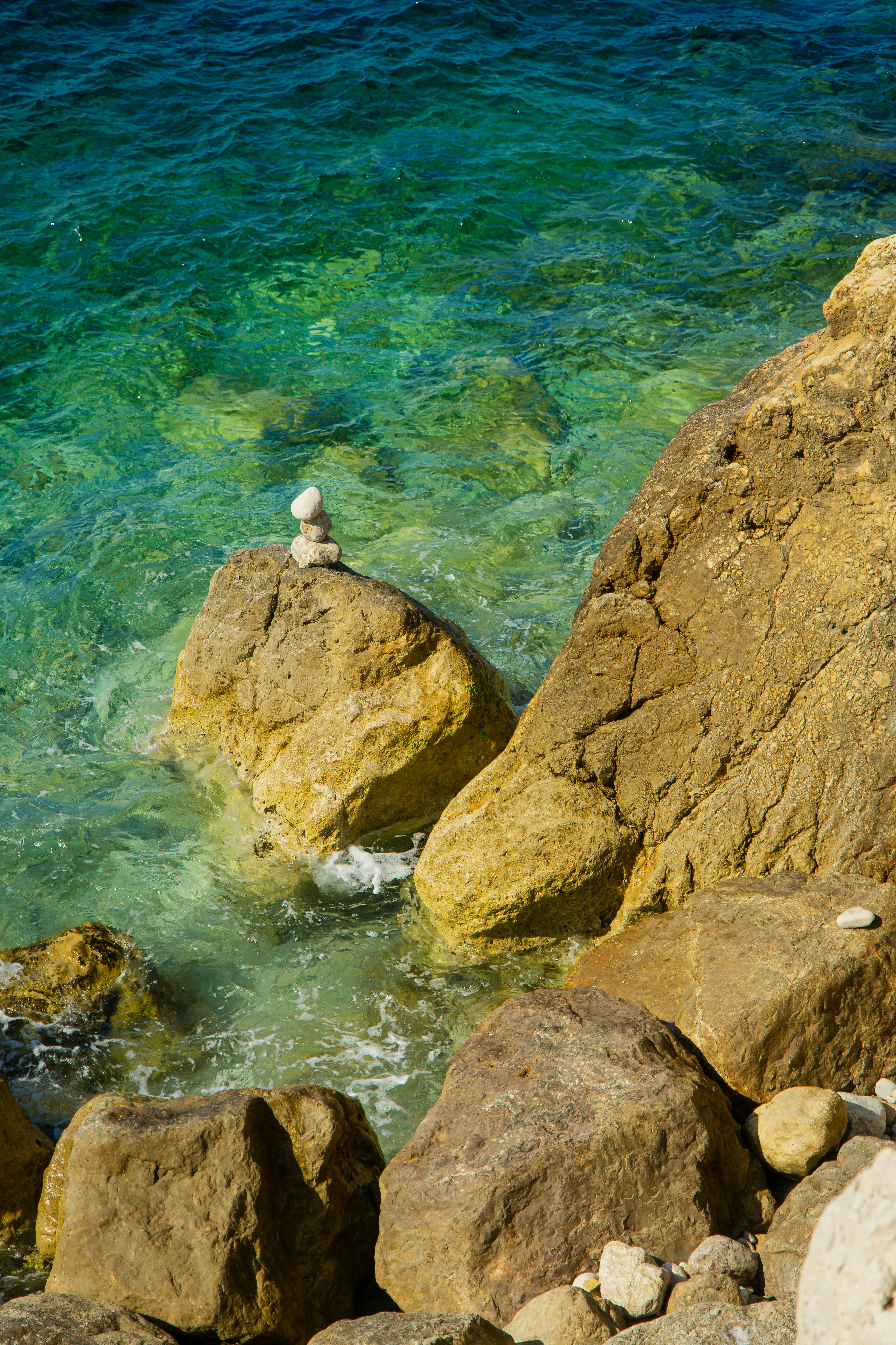 Harmony of Nature: A Balancing Act on the Shoreline