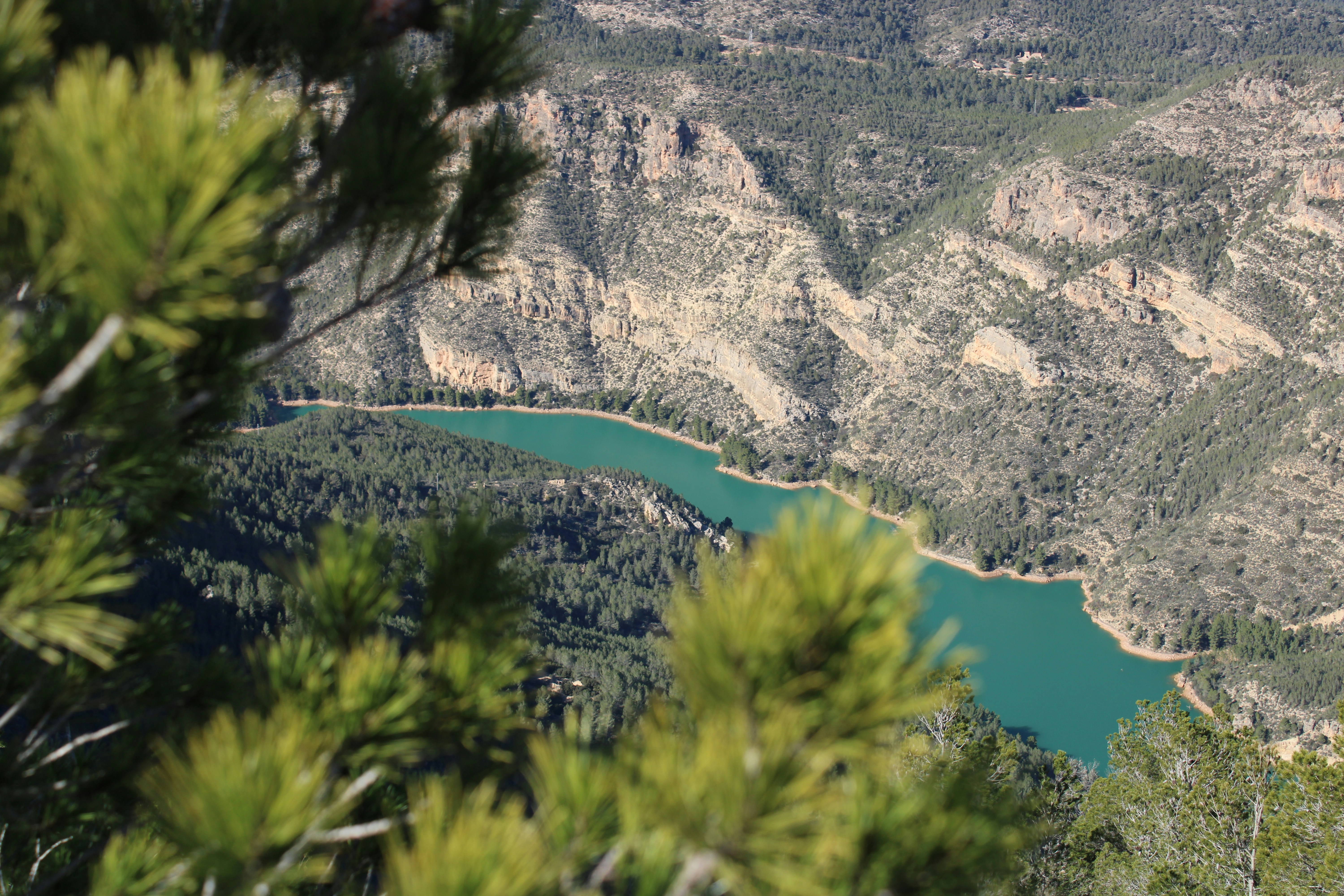 Emerald Riverbend Through Rocky Valleys