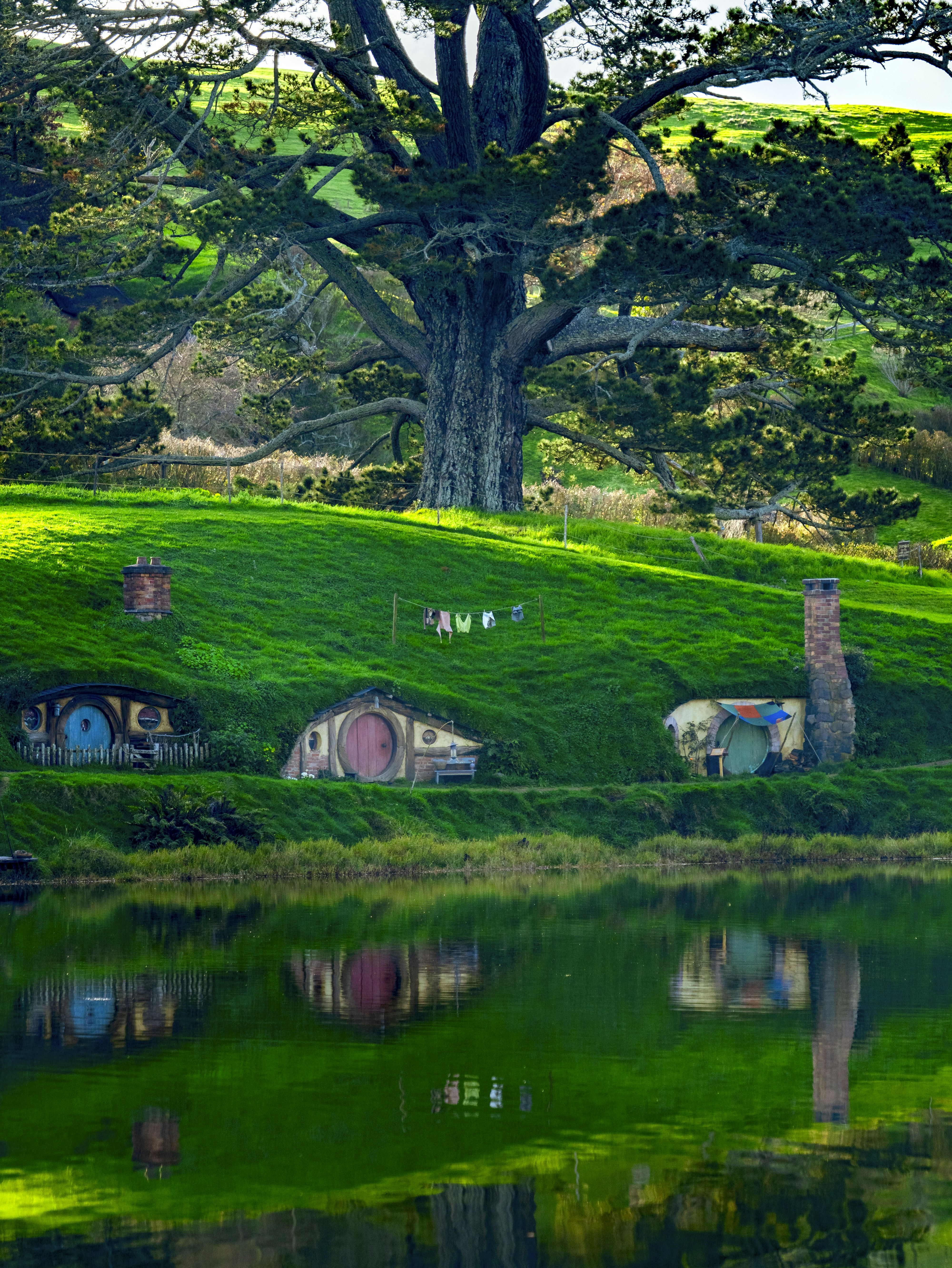 A green field with a tree and a body of water
