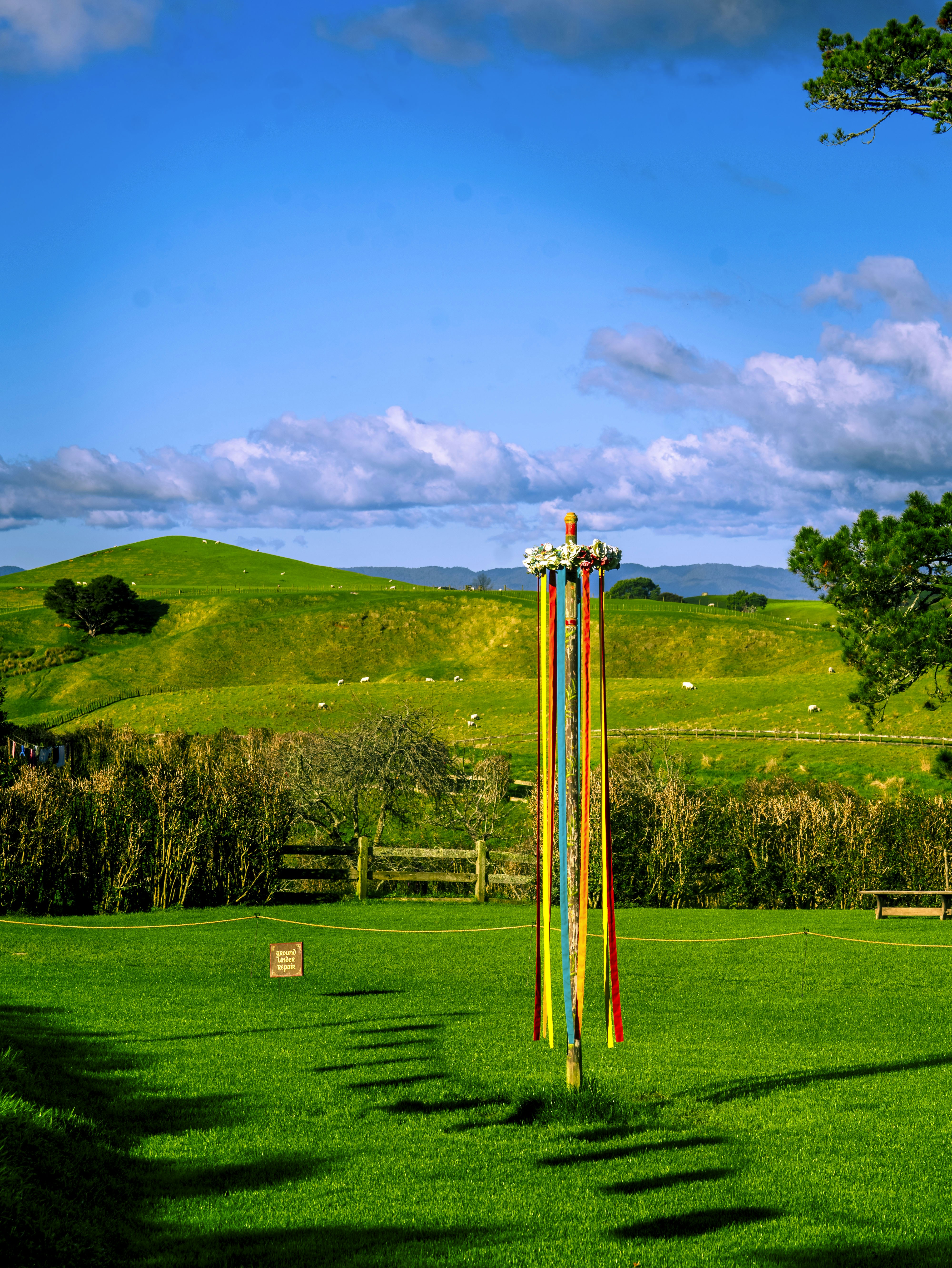 Ribboned Sentinel in a Sunlit Meadow