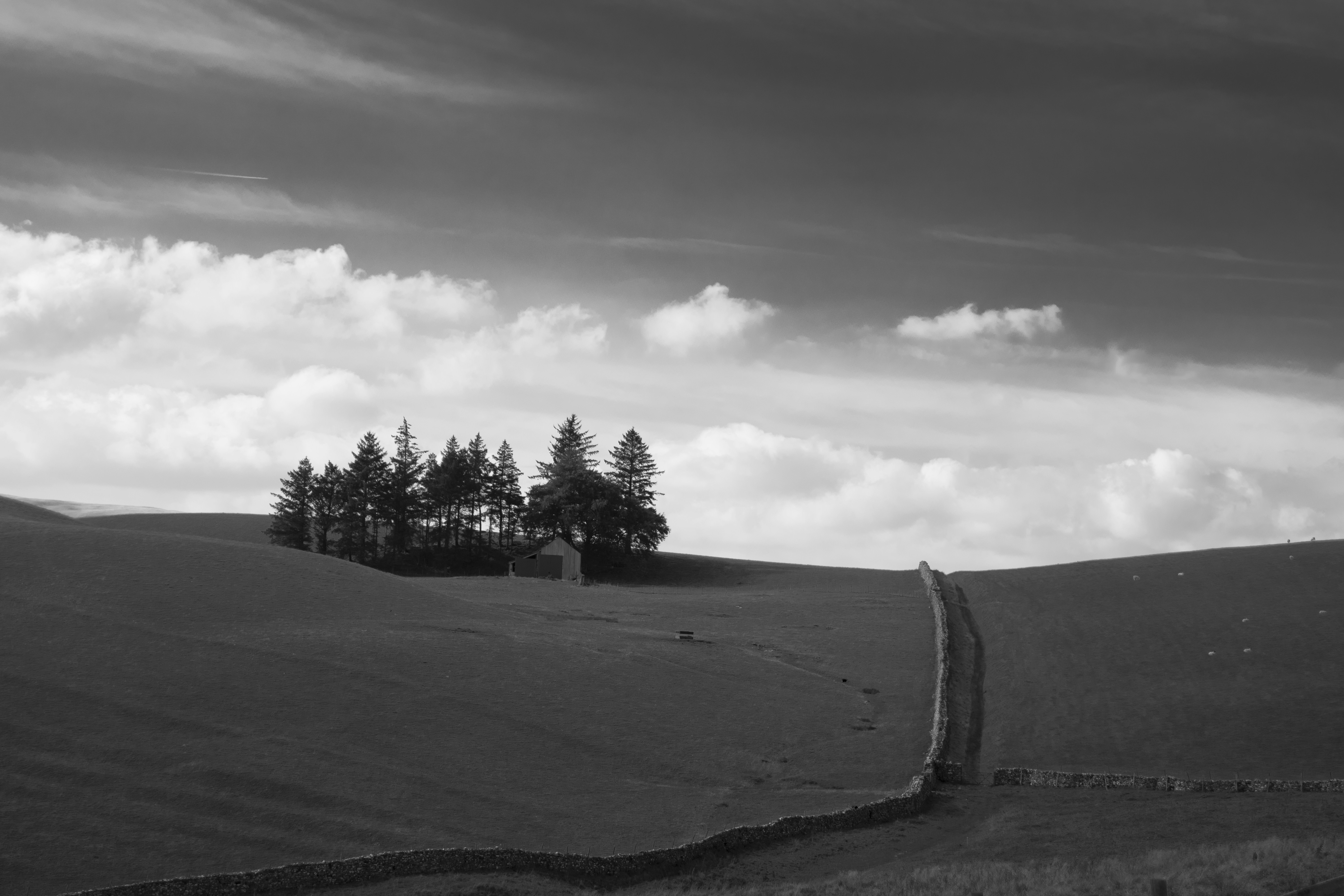 Whispers of the Countryside