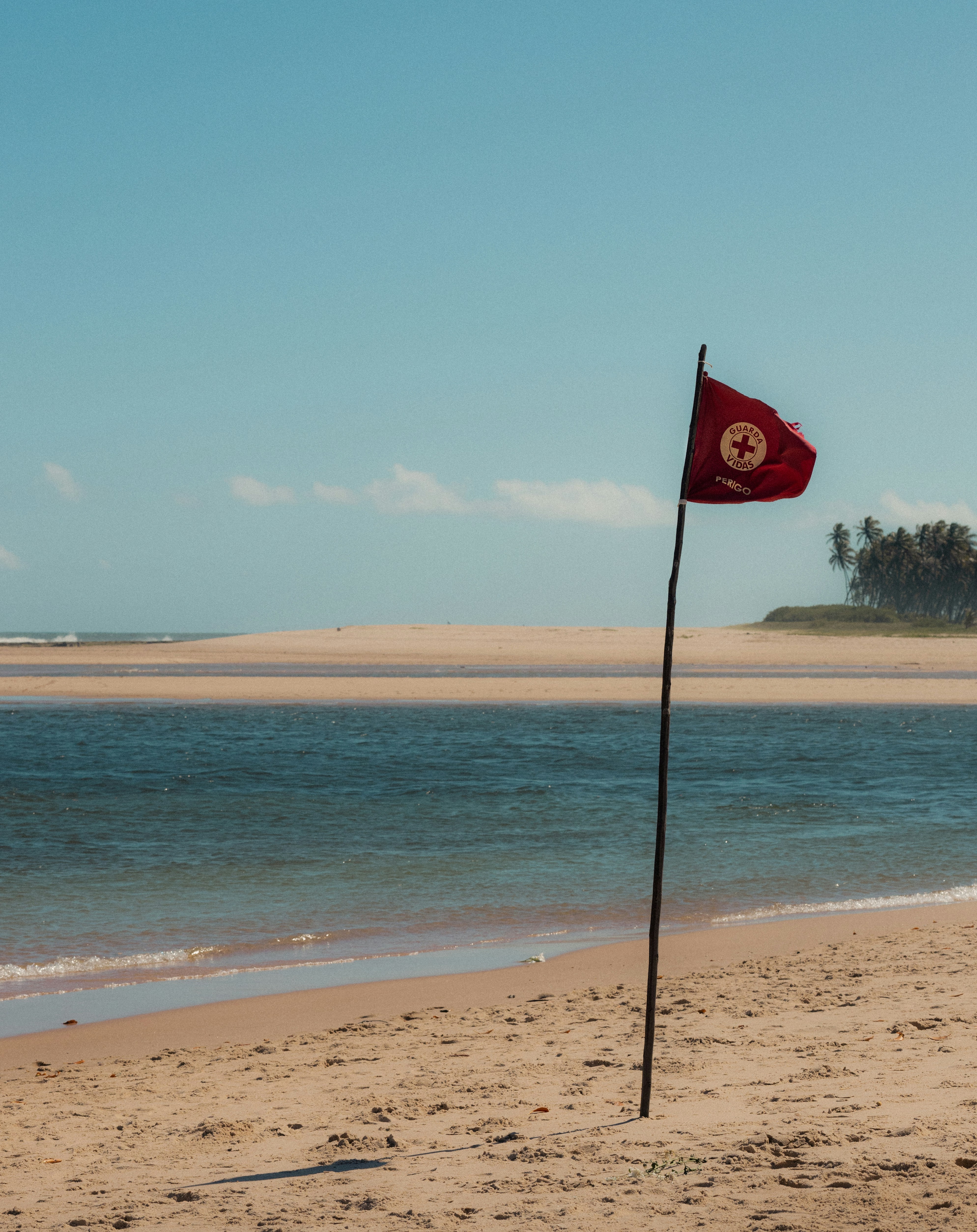 Flagpole Sentinel on a Quiet Palm-Fringed Beach