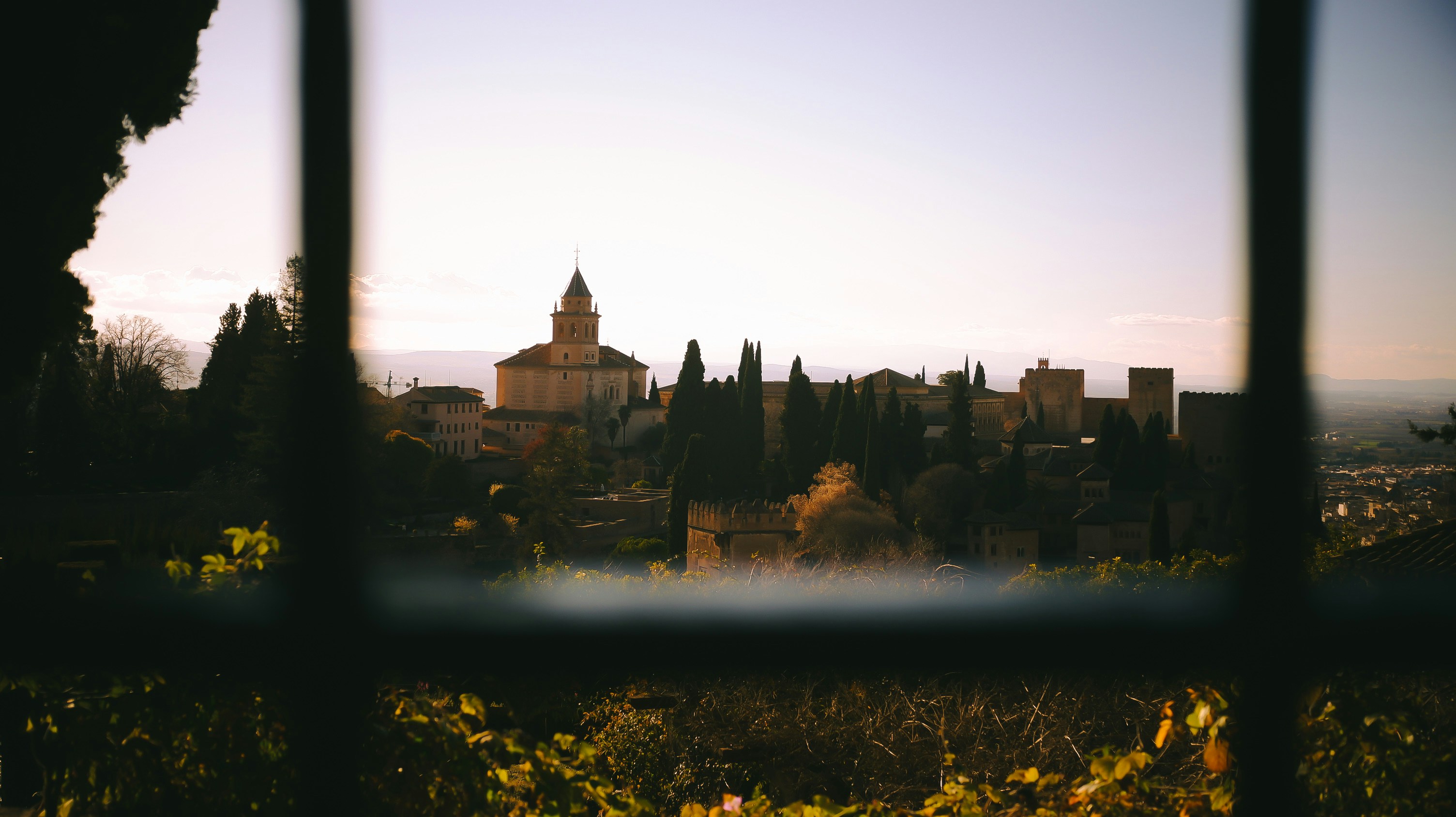 Historic townscape bathed in warm sunset light, seen through a window frame with towering cypress trees.