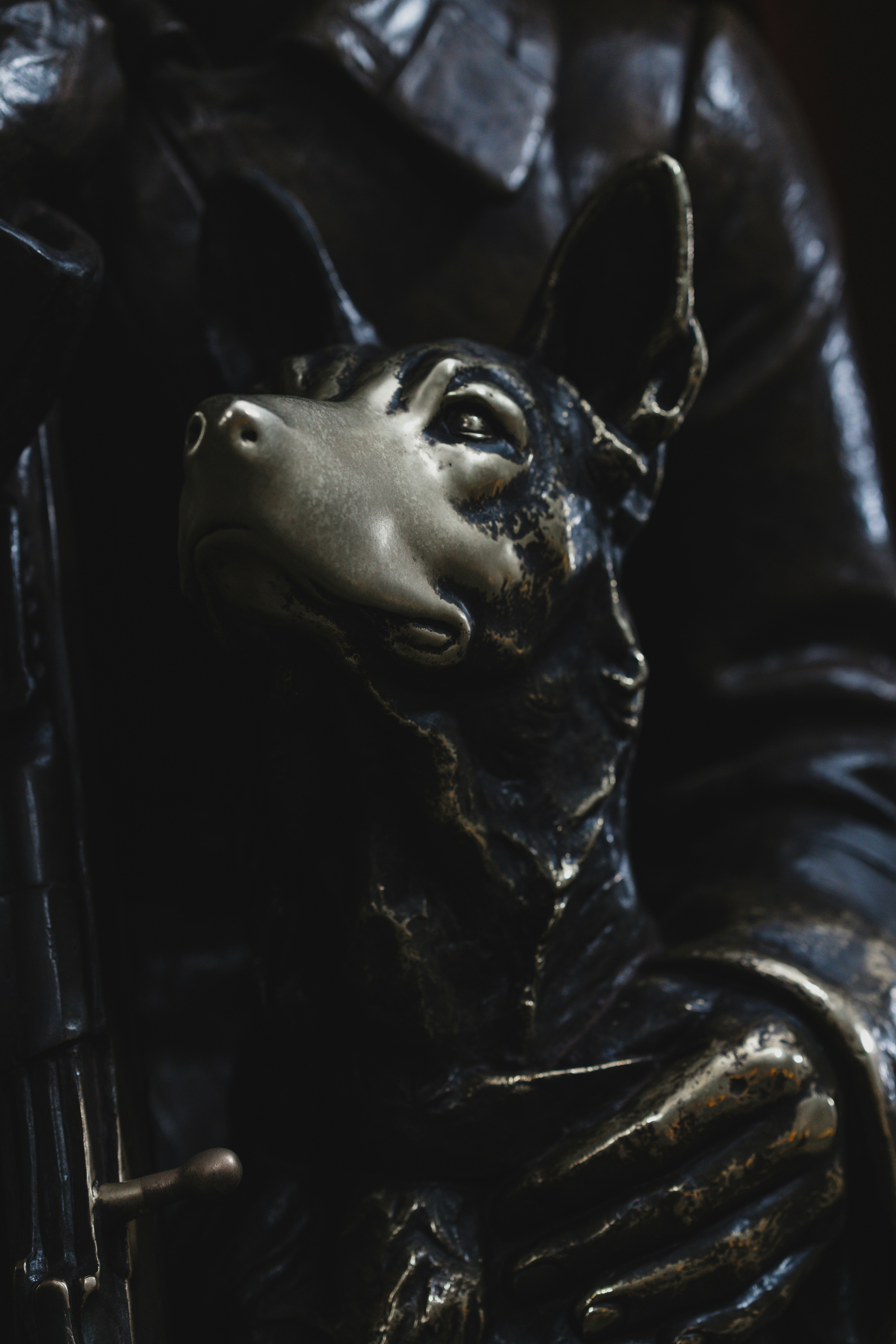 Patinaed Donkey Head in Velvet Shadow