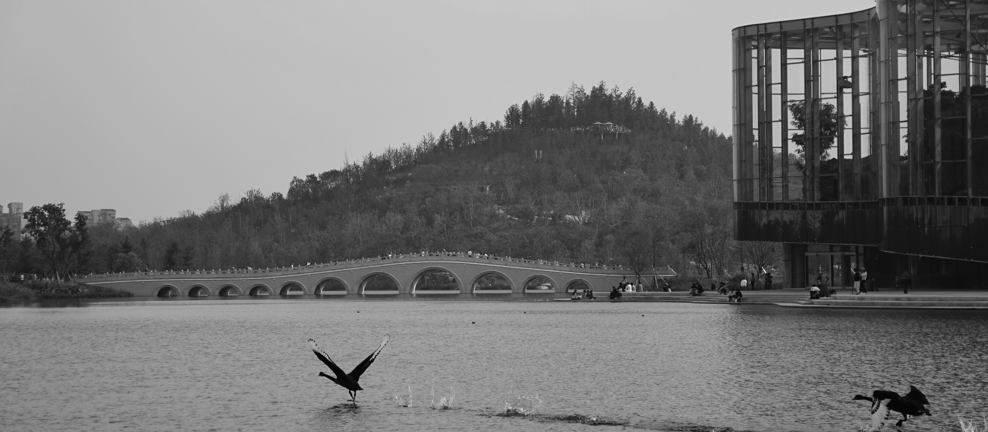 Winged Pause Over a Serene Lakescape with a Stone Arch Bridge