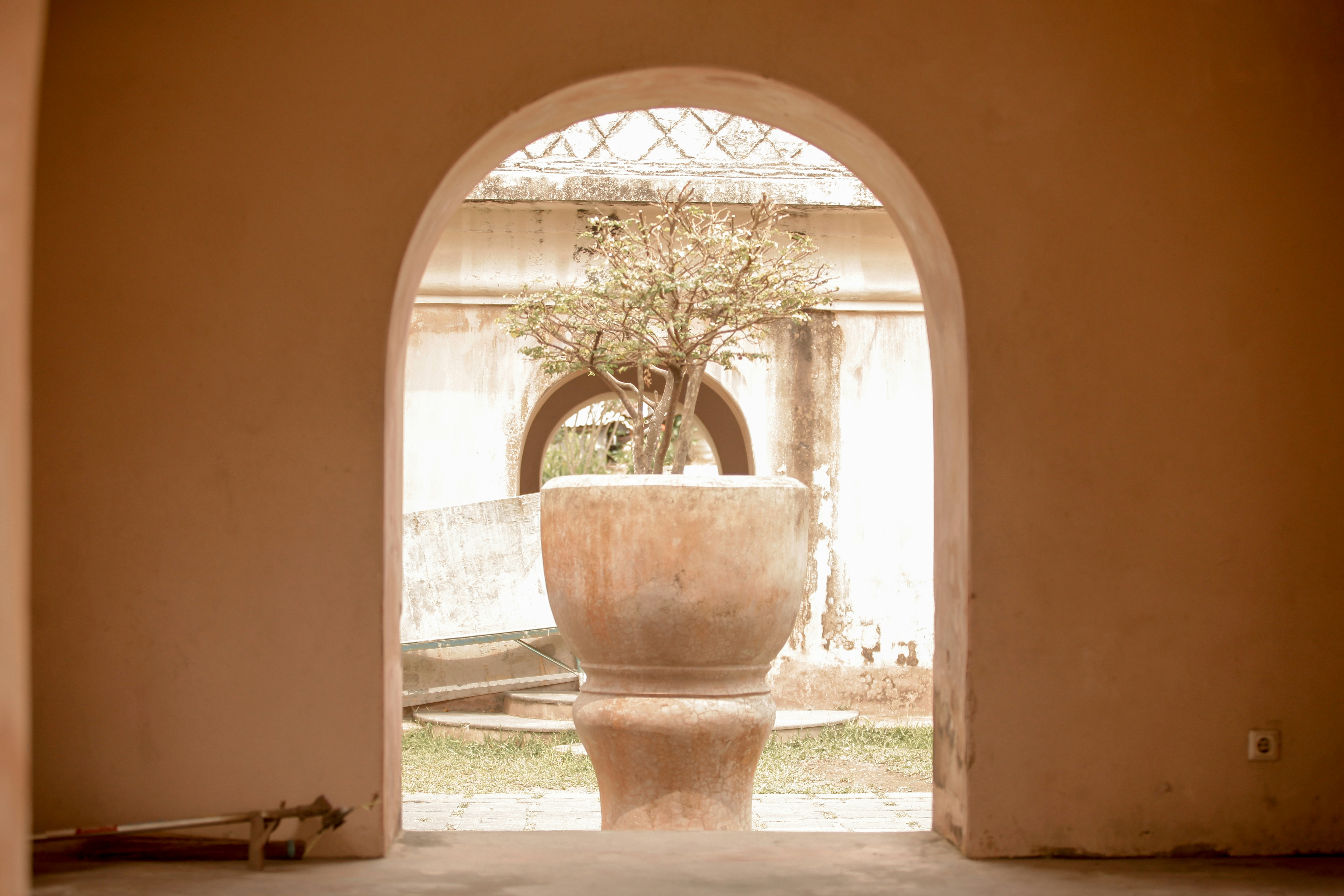 Terracotta pot with a lush plant framed by an arched doorway, blending with warm, earthy tones.