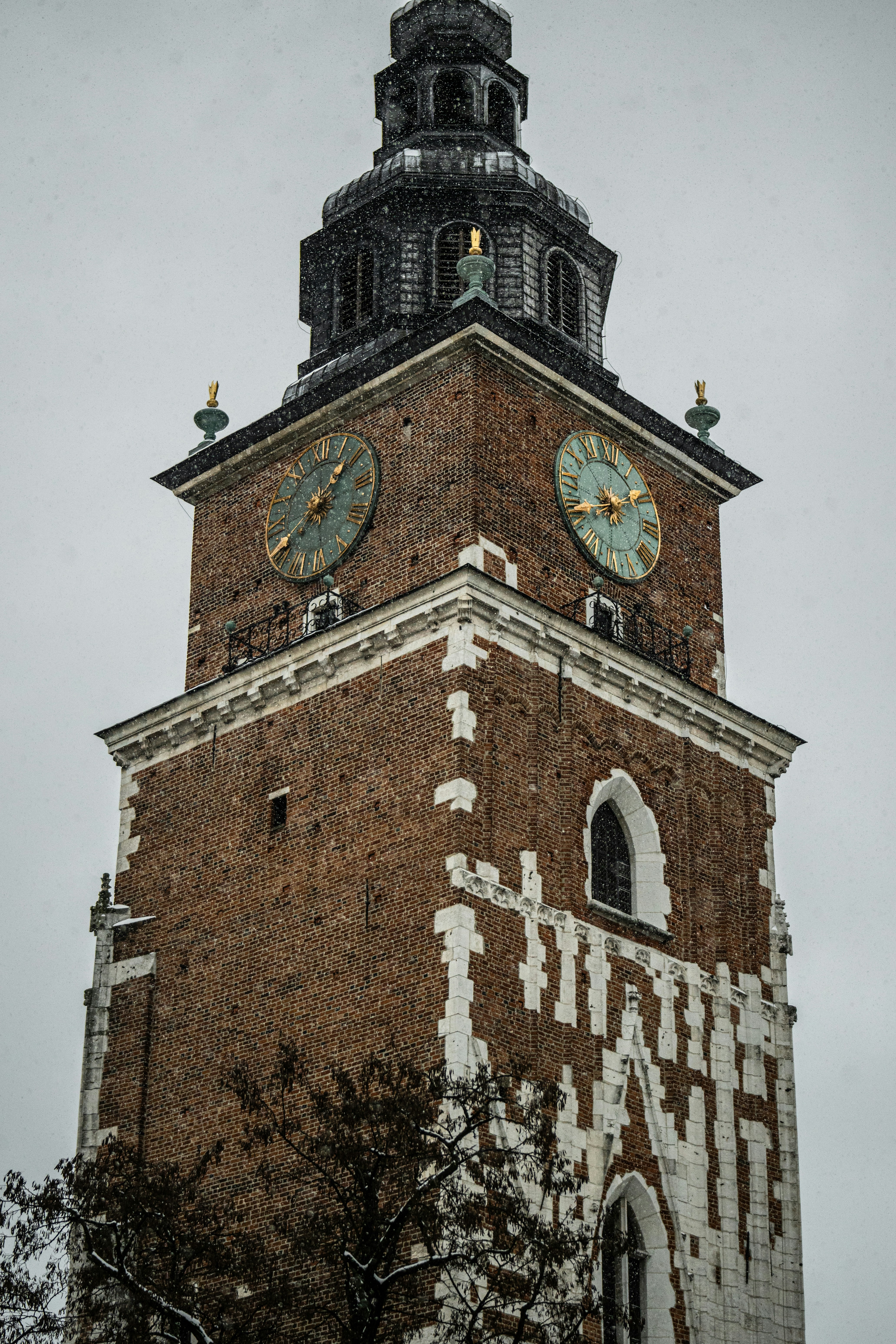 Photo by Sam Szuchan with Sony FX30