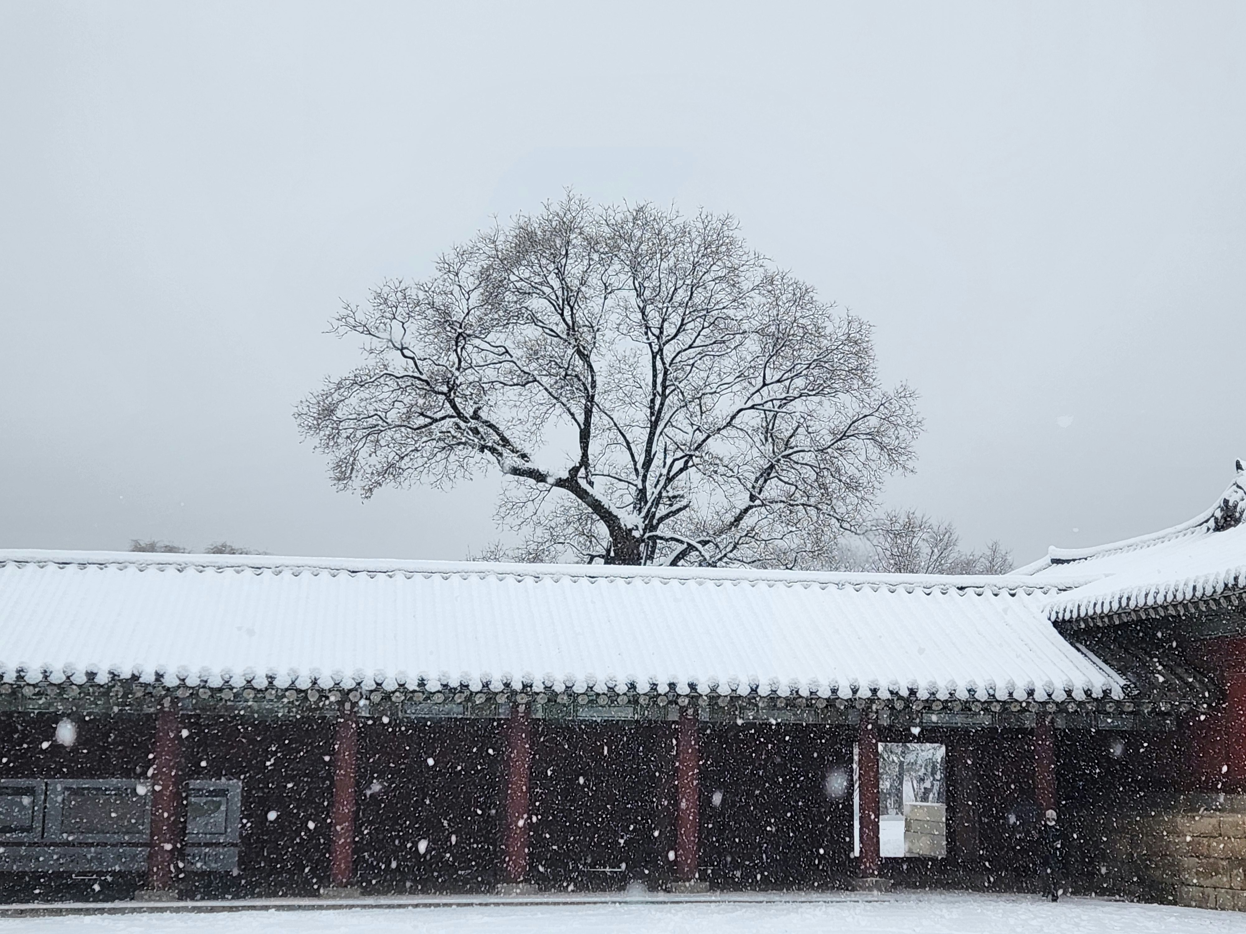 Snow-covered traditional architecture with a bare tree in the background during snowfall.