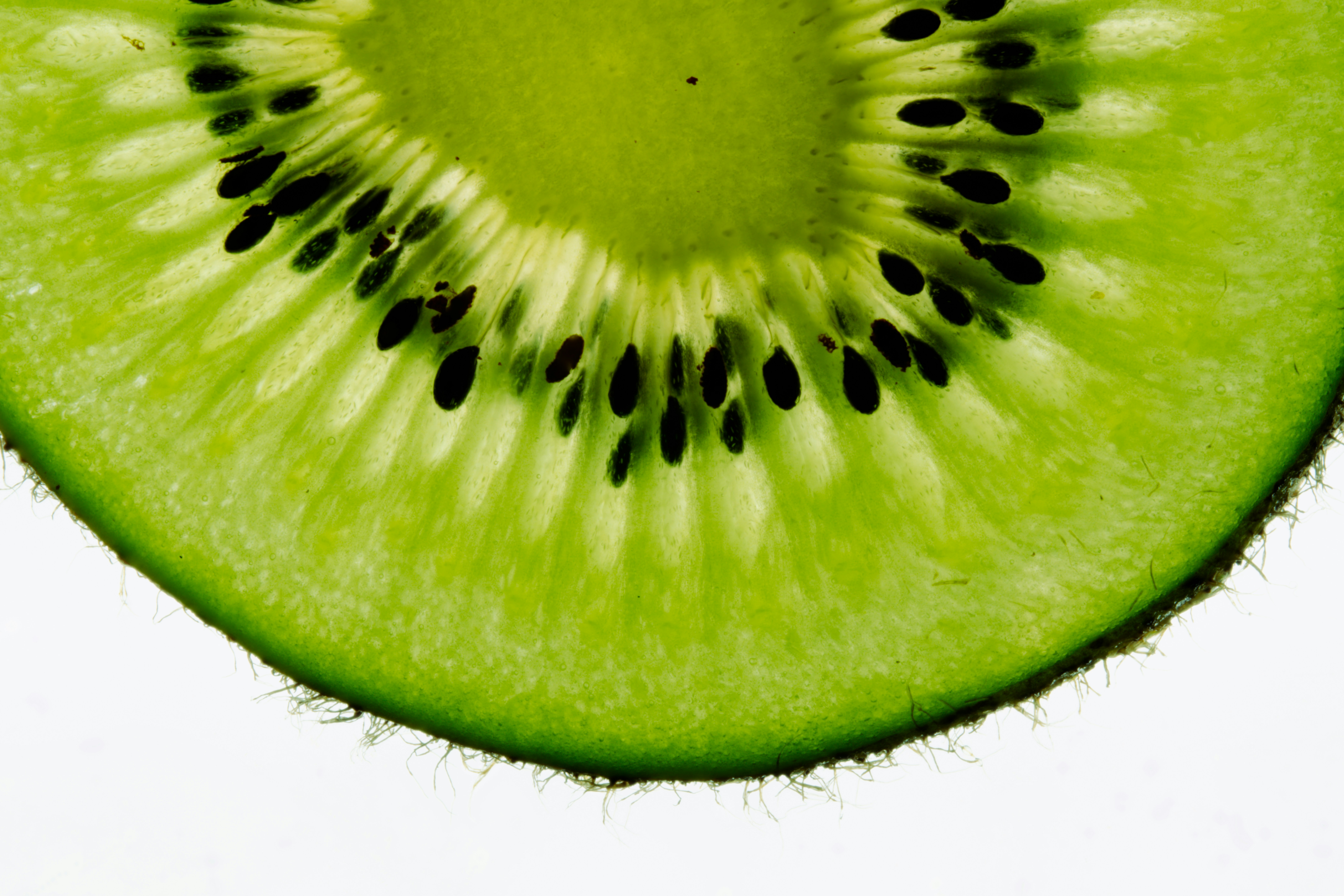 Kiwi's Radiant Geometry