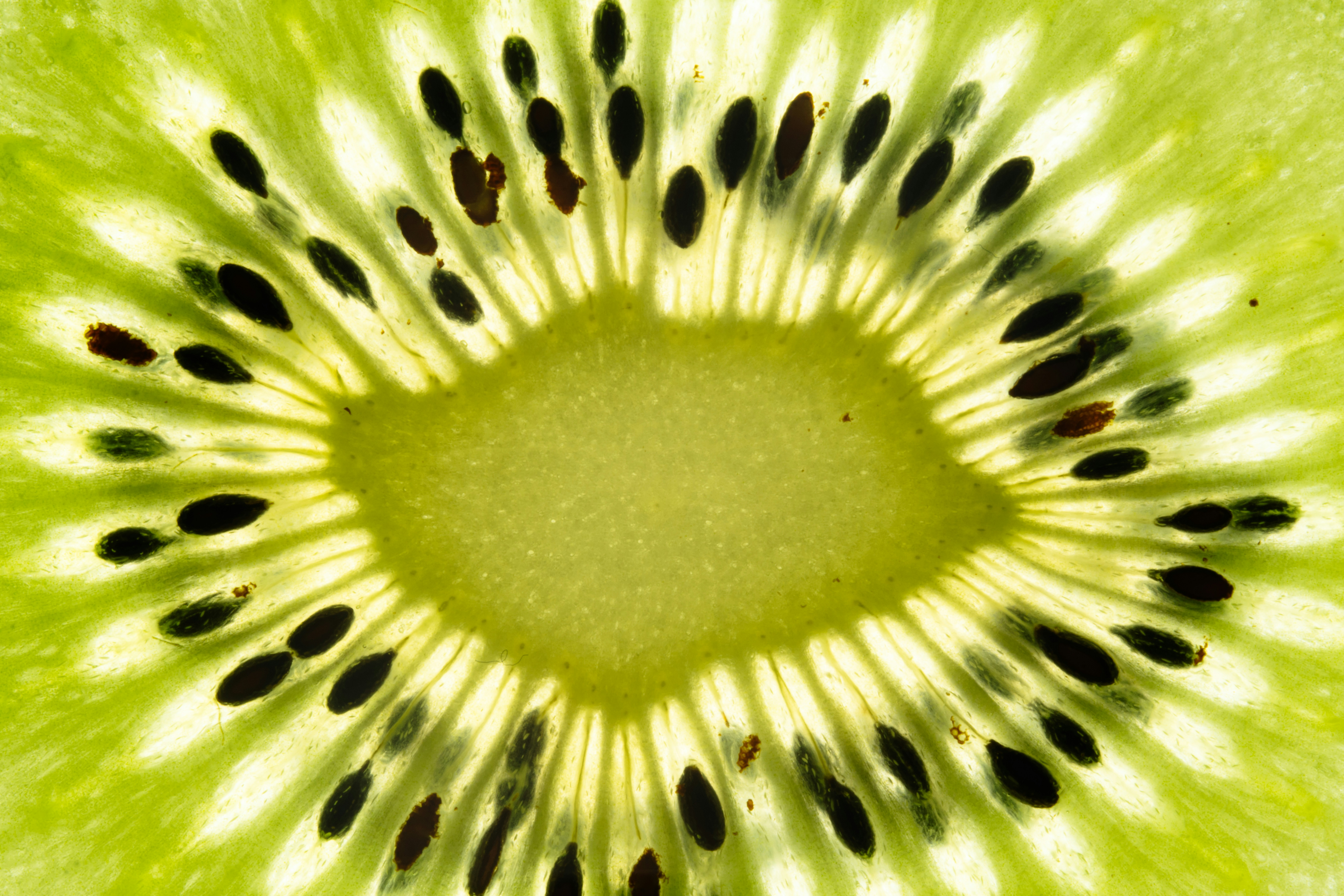 Kiwi Cosmos: Seeds in Symmetry