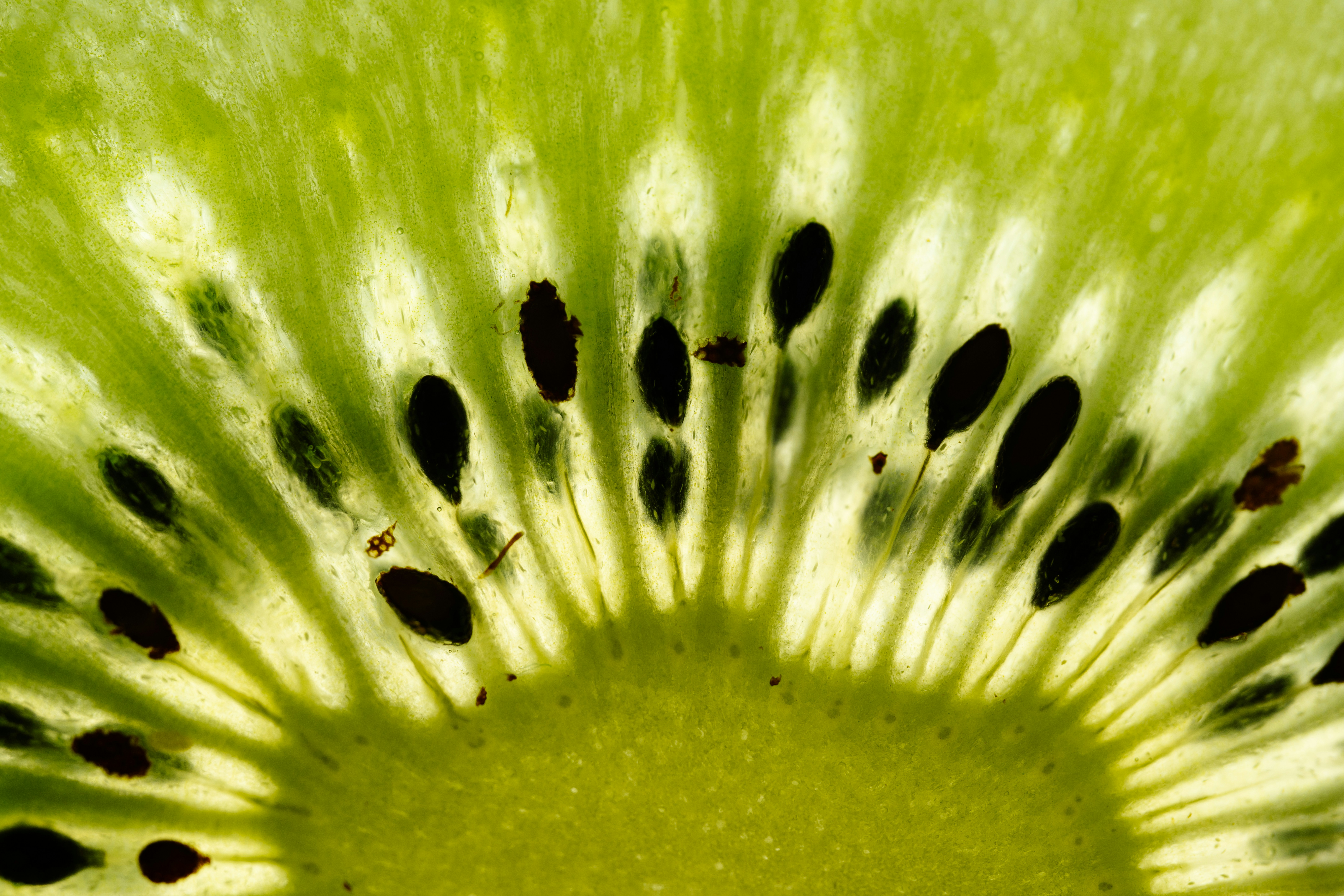 Kiwi Radiance: A Seeded Symphony