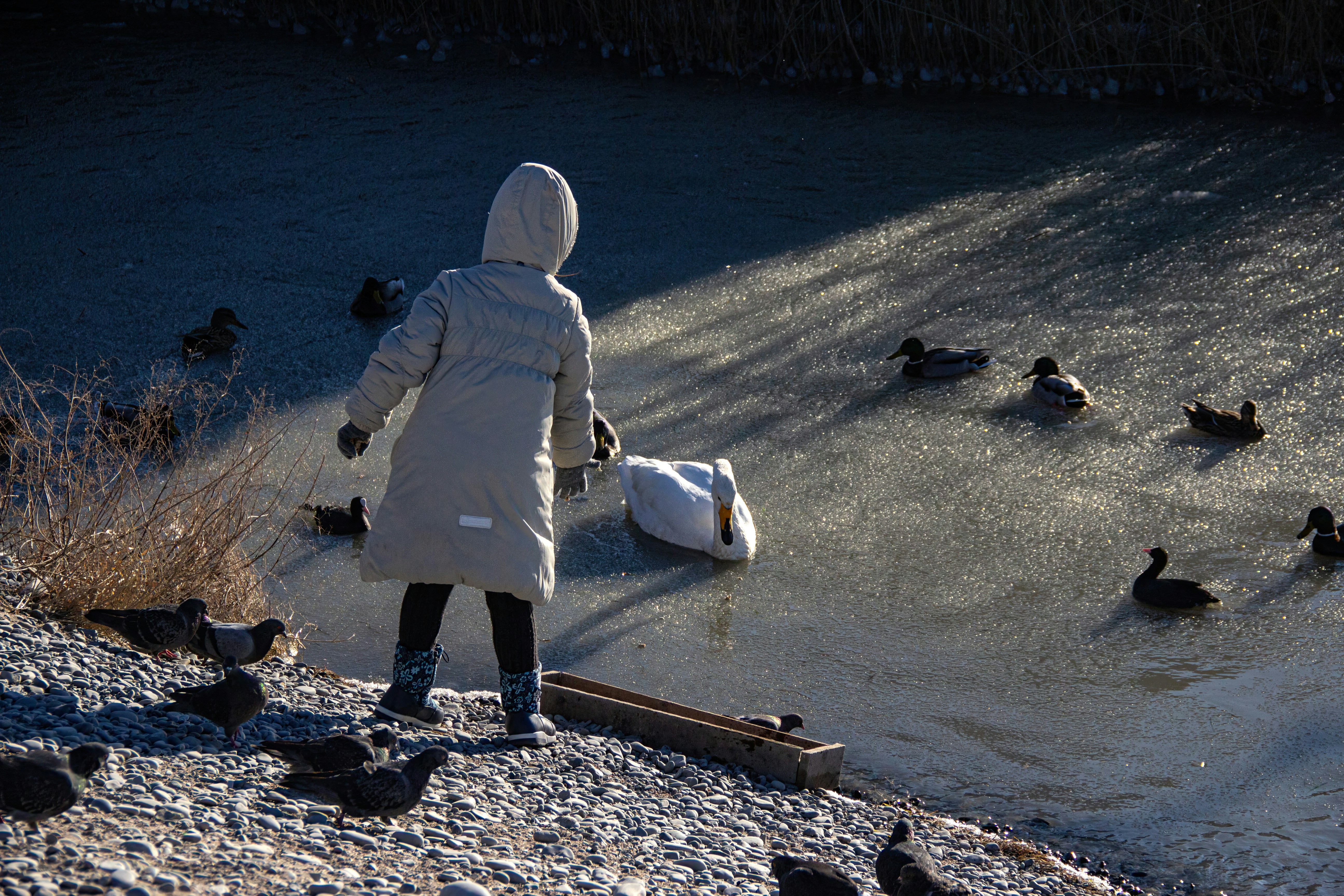 Photo by Stepan Konev with Canon EOS 600D