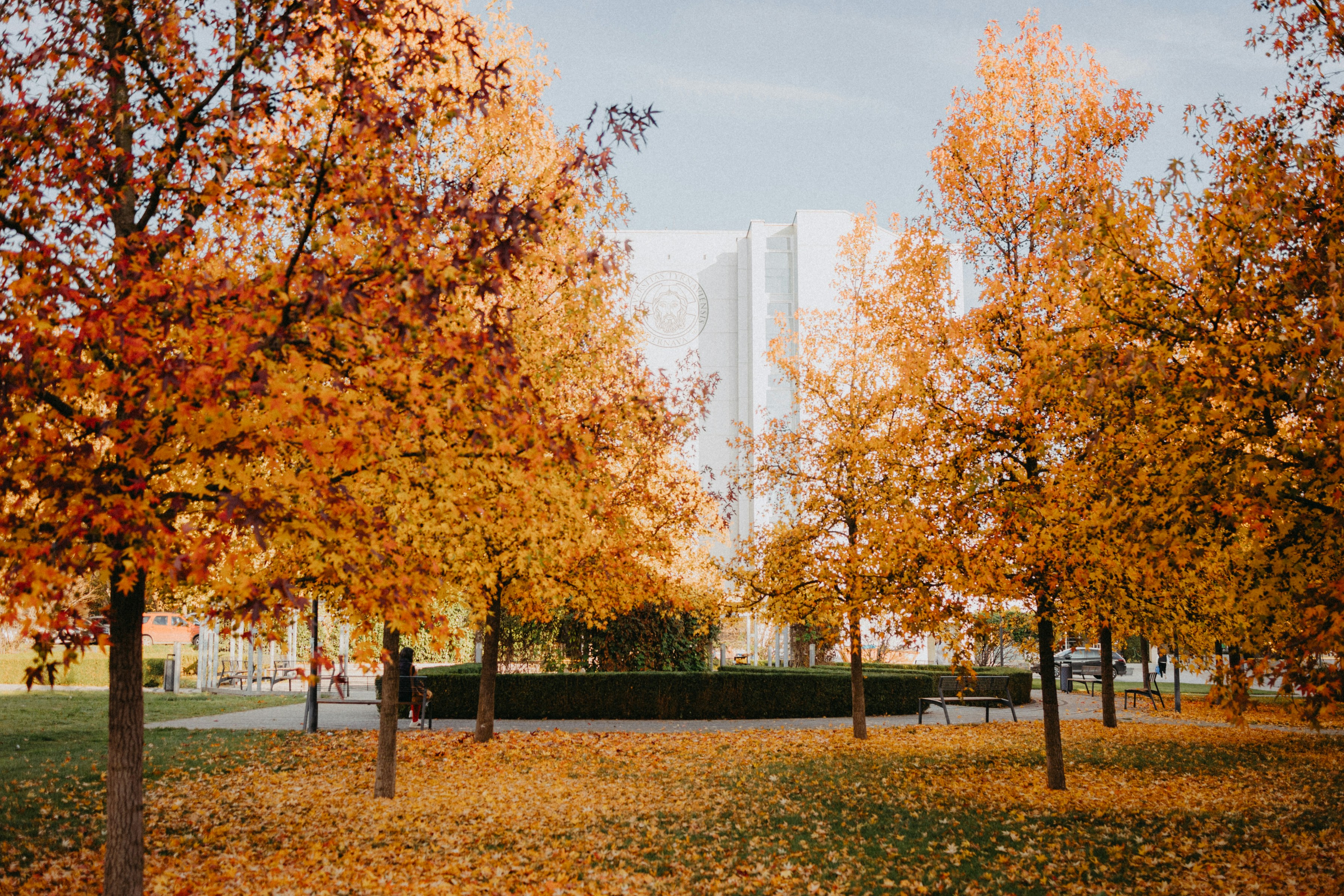 Trnava University (@trnavskauni) | Unsplash Photo Community