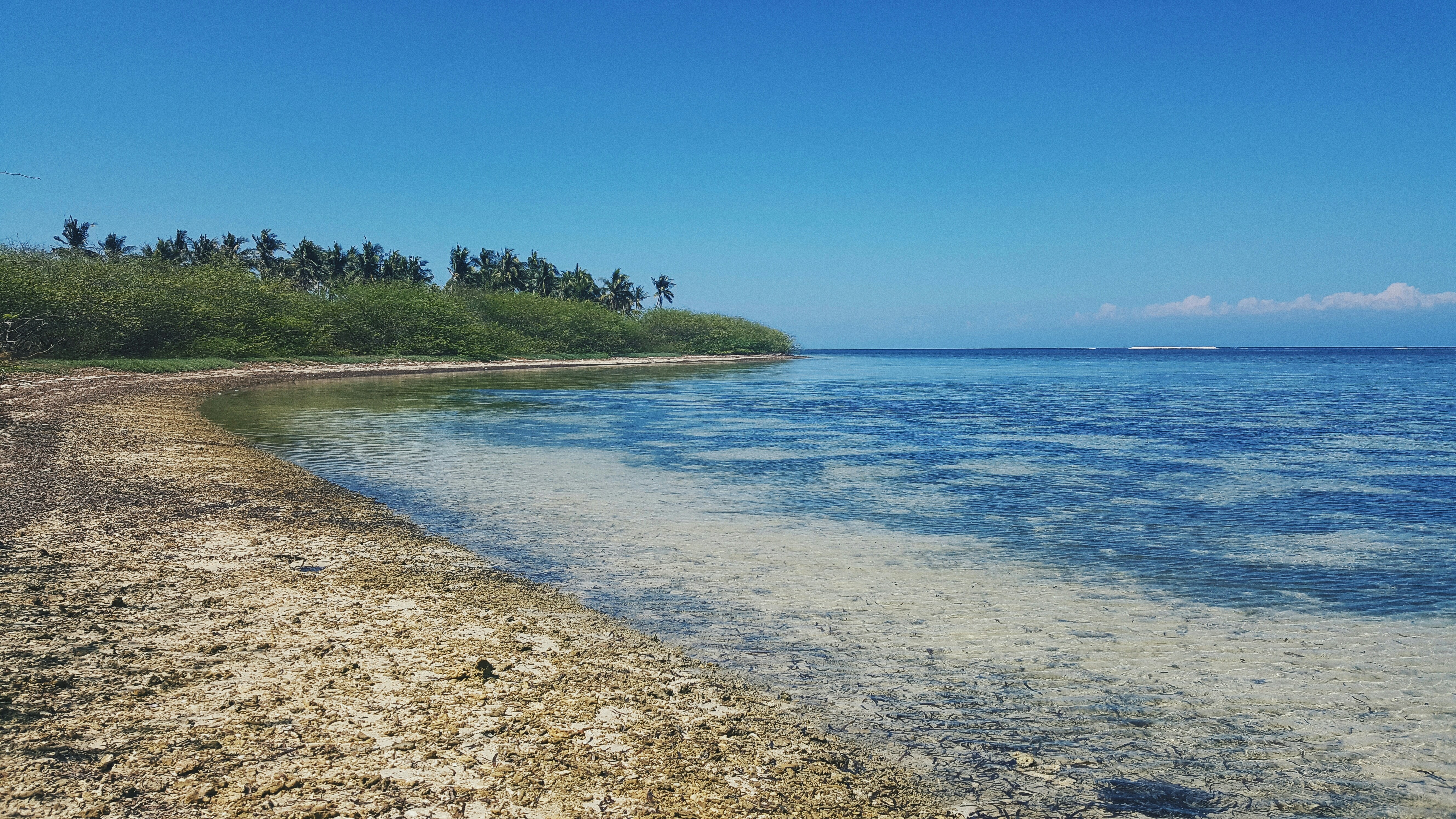 Pristine shoreline meets lush greenery under a vibrant blue sky.