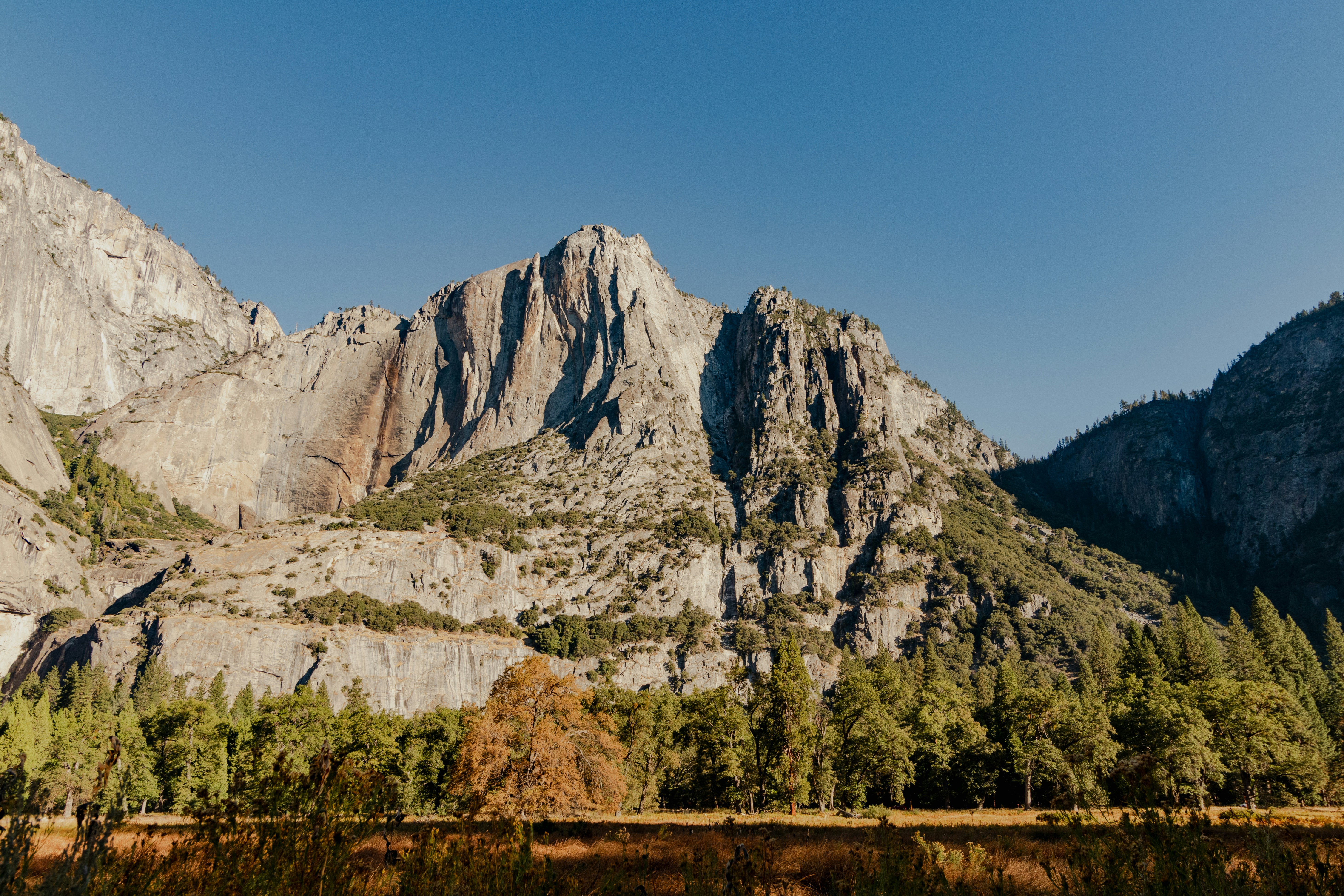 Towering mountain range illuminated by golden sunlight, with lush green forests below and a clear blue sky overhead.