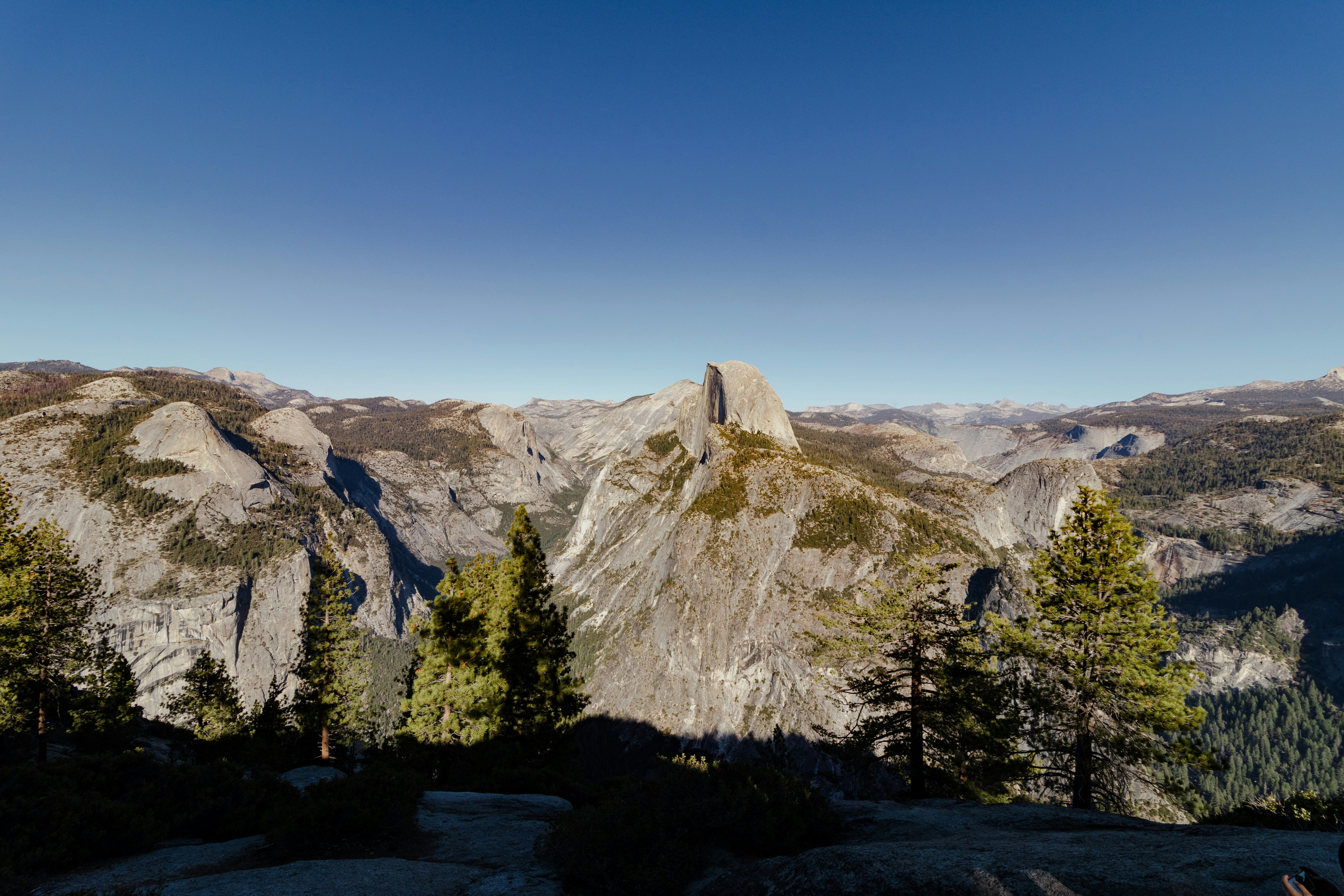 Half Dome rises prominently amid the granite peaks of Yosemite, framed by lush pine trees and a deep blue sky.