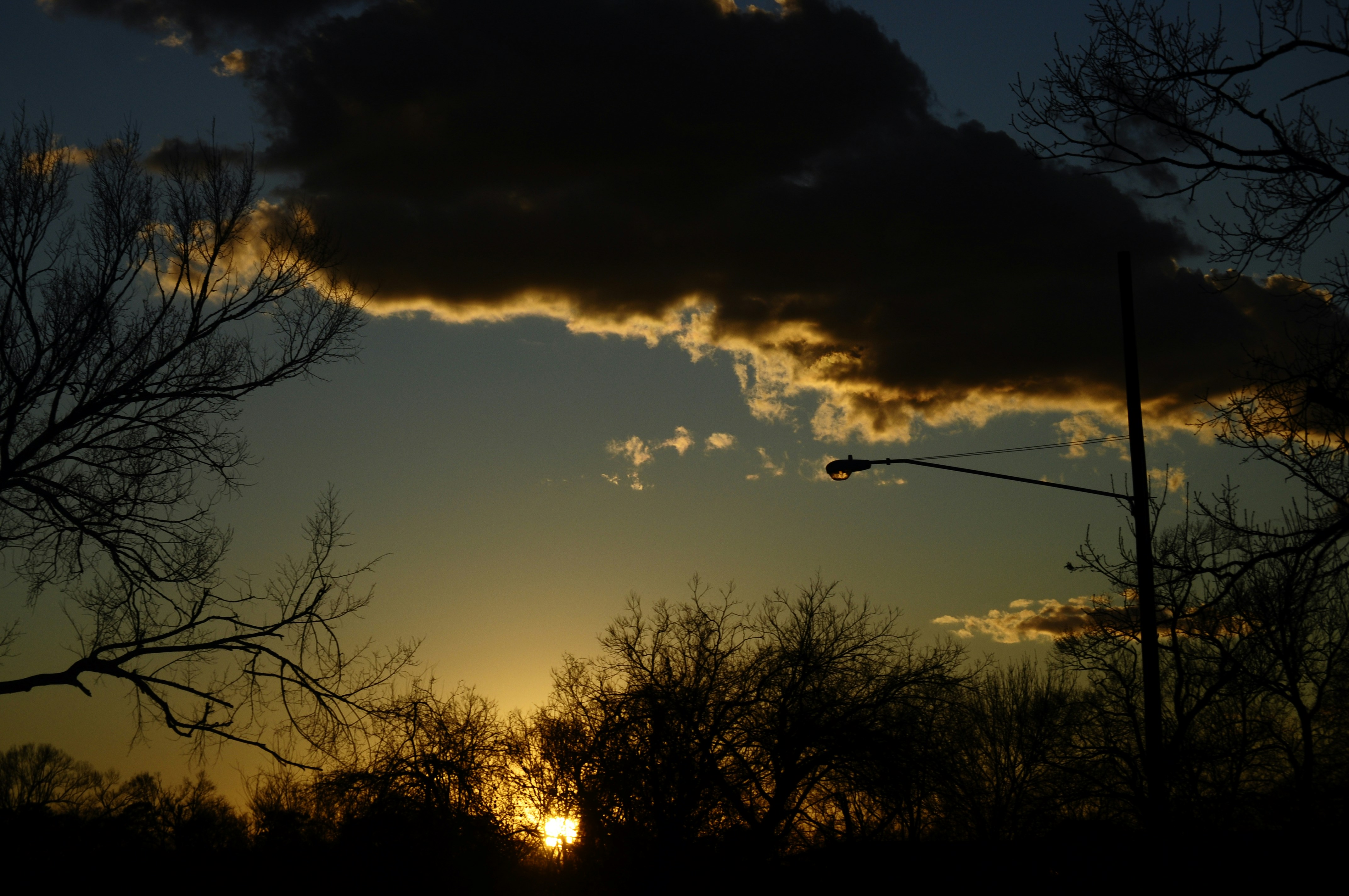Horizon in Embers: Tree Silhouettes Framing a Streetlamp at Dusk