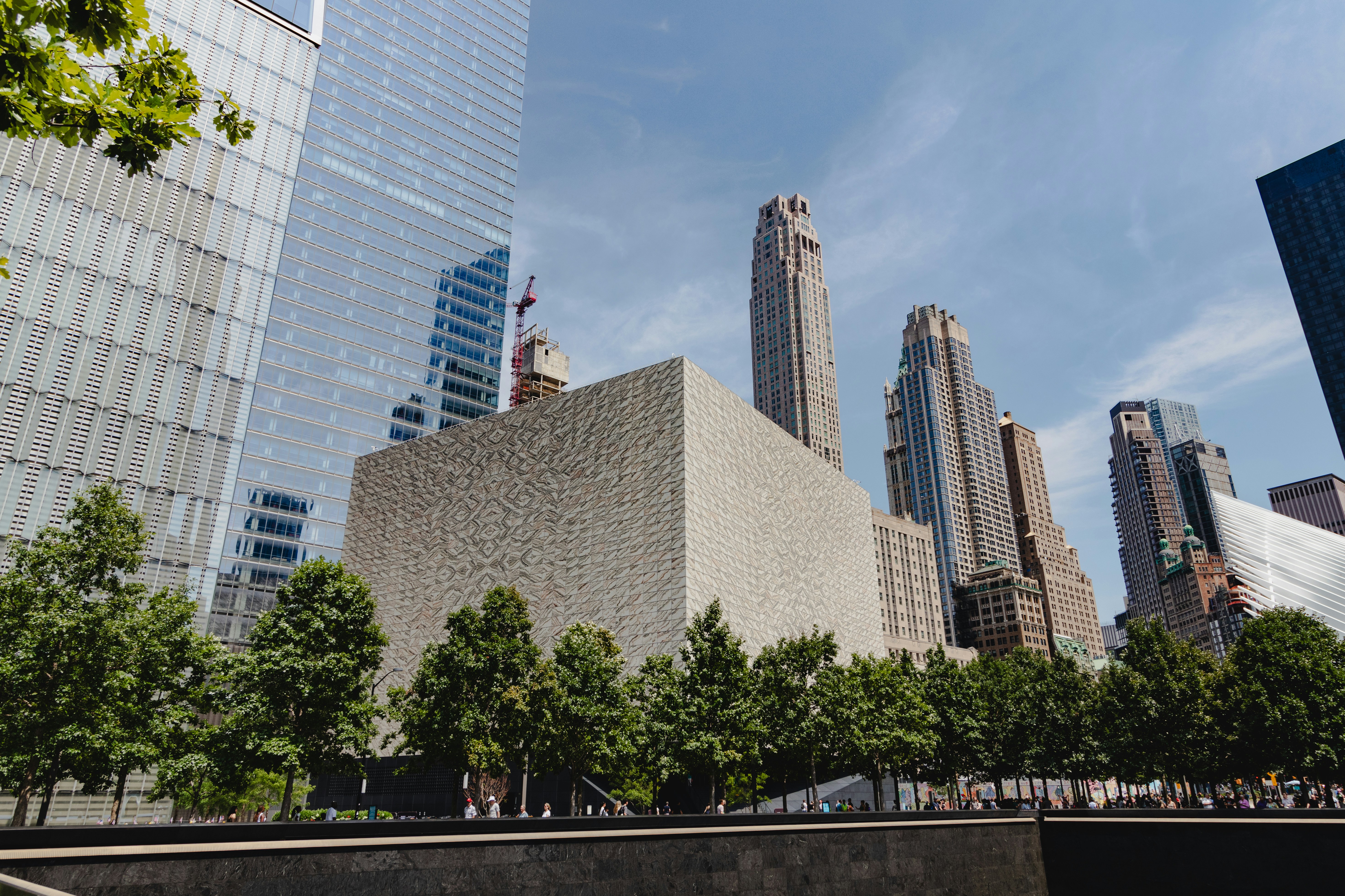 Skyscrapers with reflective facades rise above a row of lush green trees against a clear blue sky.