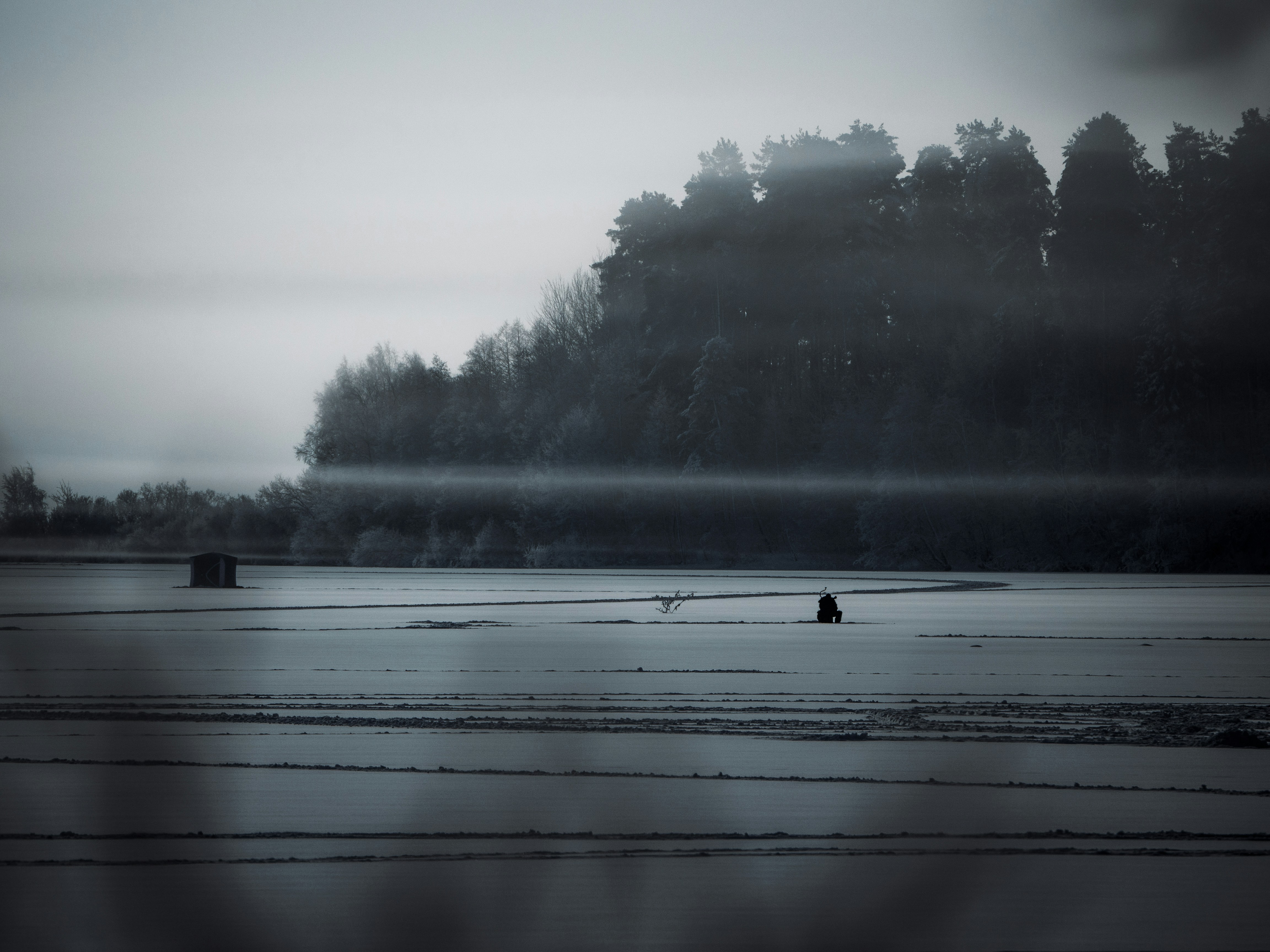 Quiet Contemplation by the Misty Lake