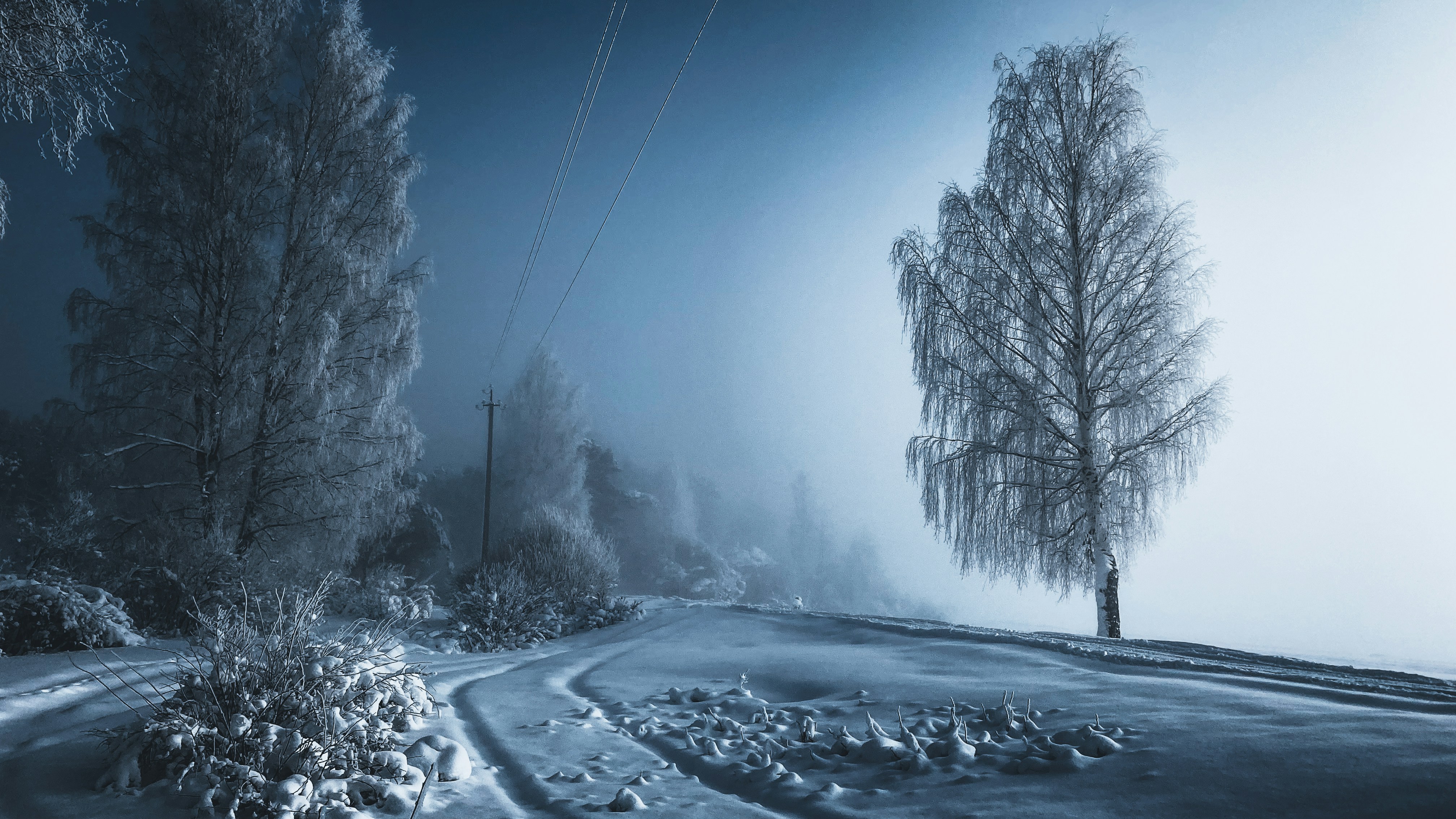 Frost-covered trees line a snowy path under a misty sky, creating a tranquil winter scene.