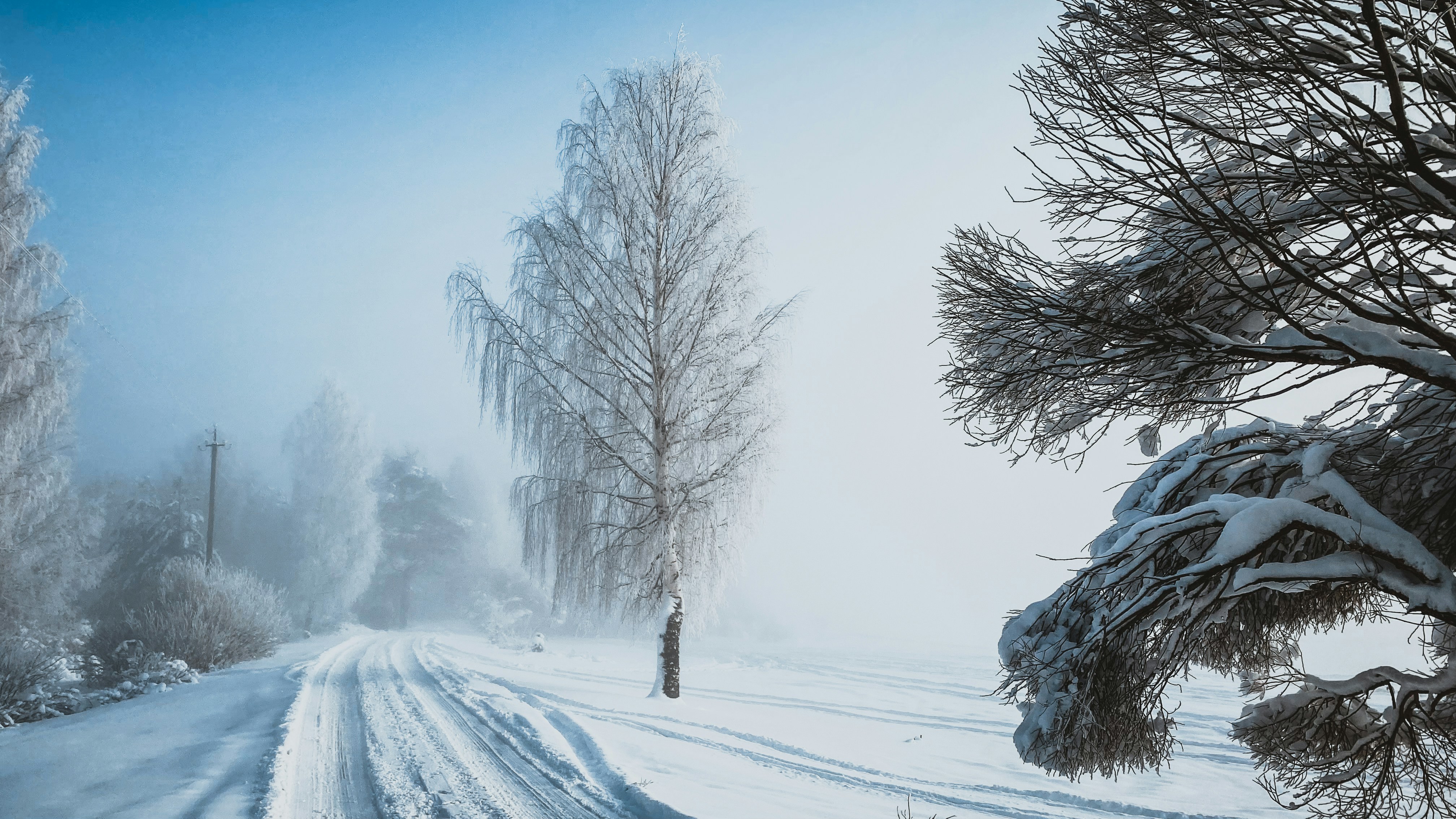 Snow-covered path winds through a misty forest, with tall trees dusted in frost under a soft blue sky.
