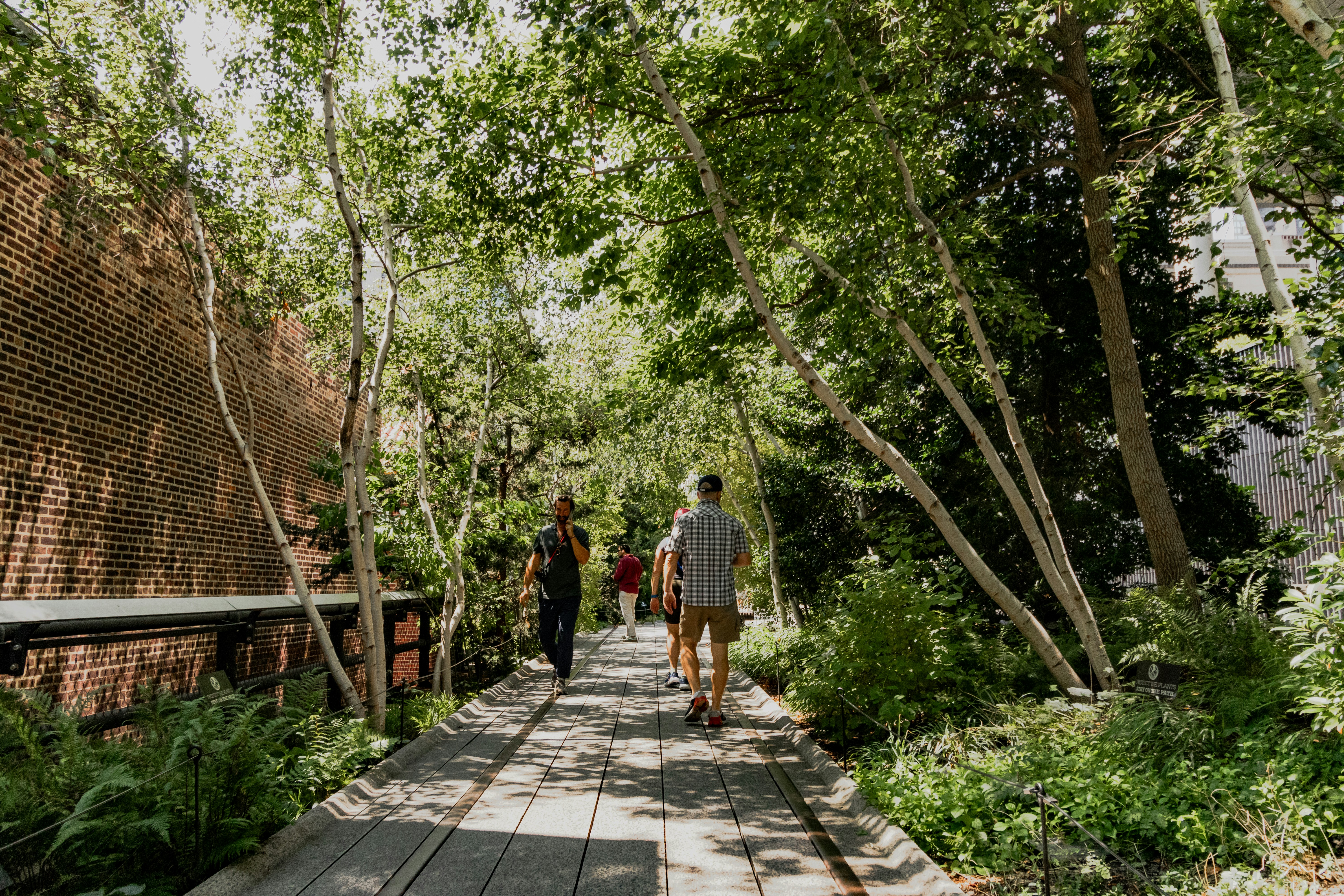A group of people walking down a wooden walkway photo – Free High line ...