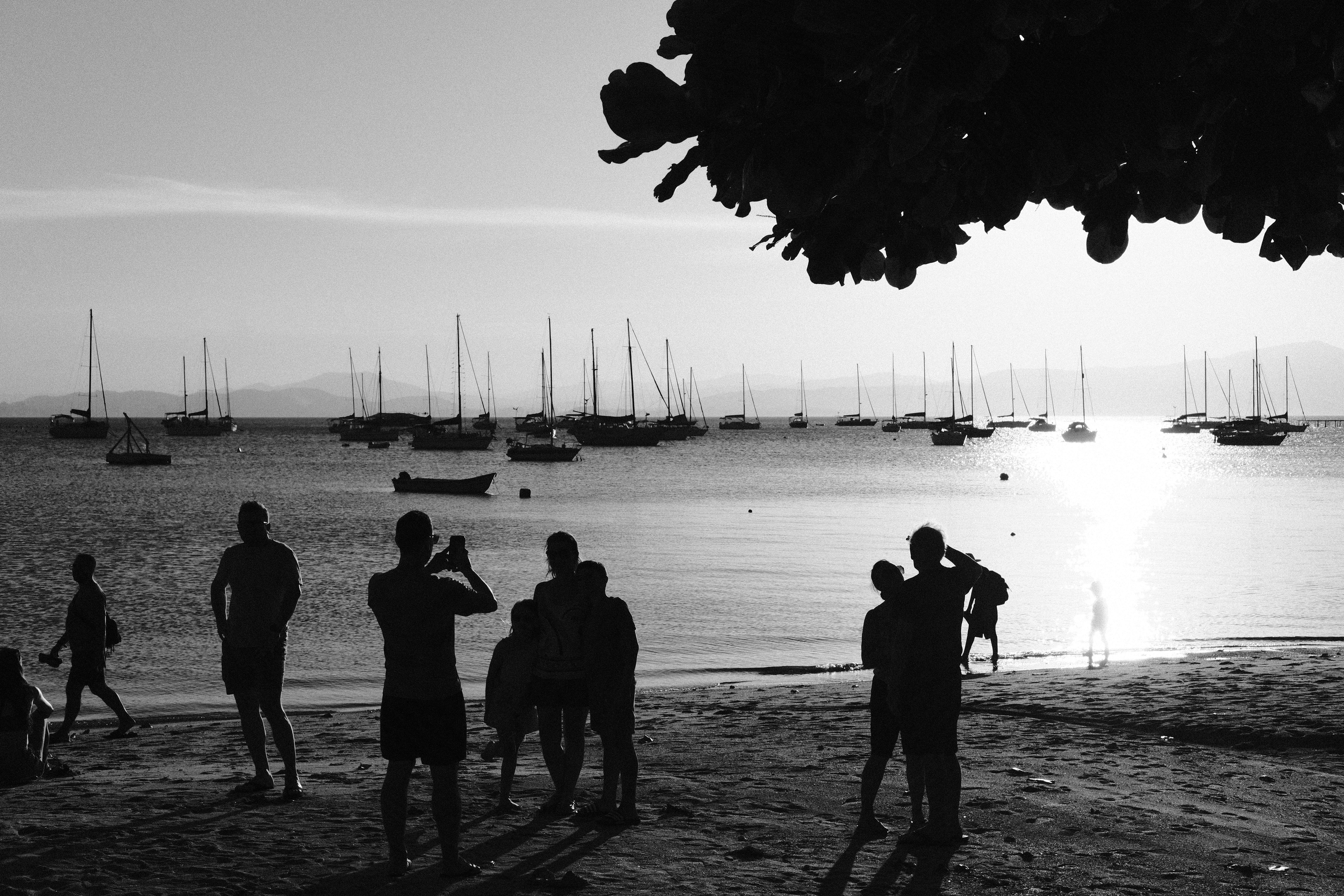 Silhouette Serenade by the Sea