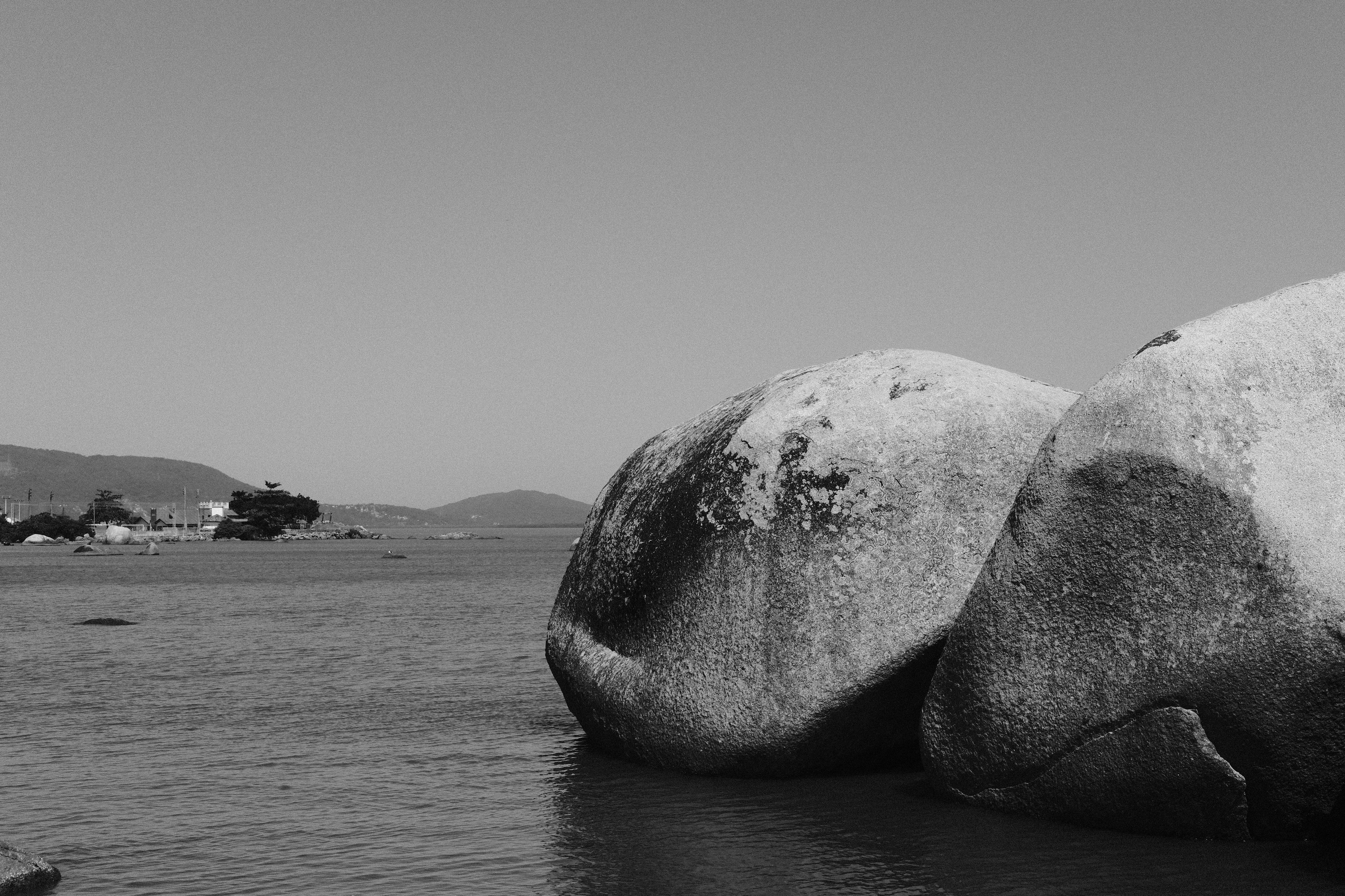 Monochrome Giants by the Shore