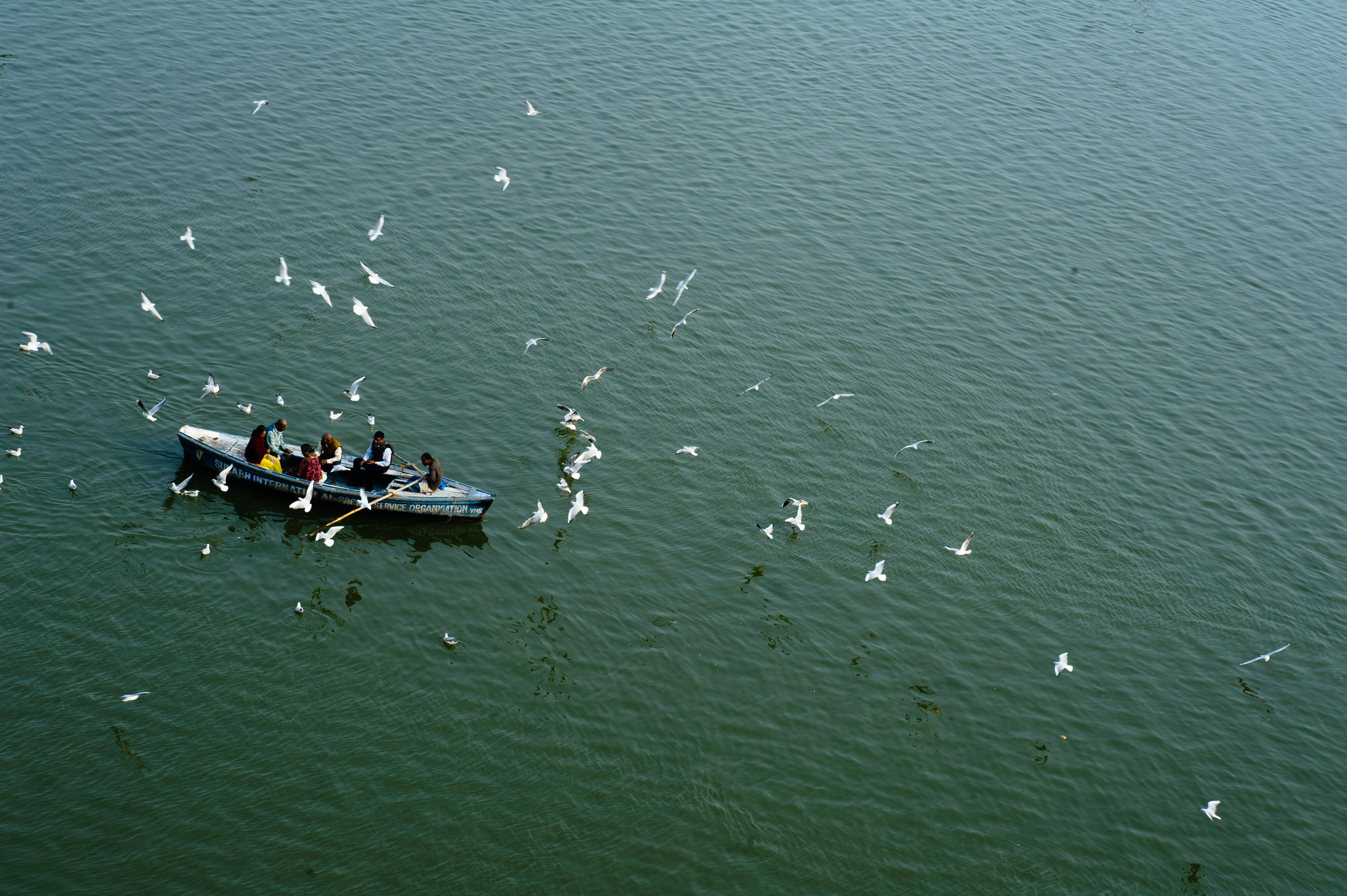 Boats on River Ganga, Varanasi, India | A group of people in a boat surrounded by seagulls