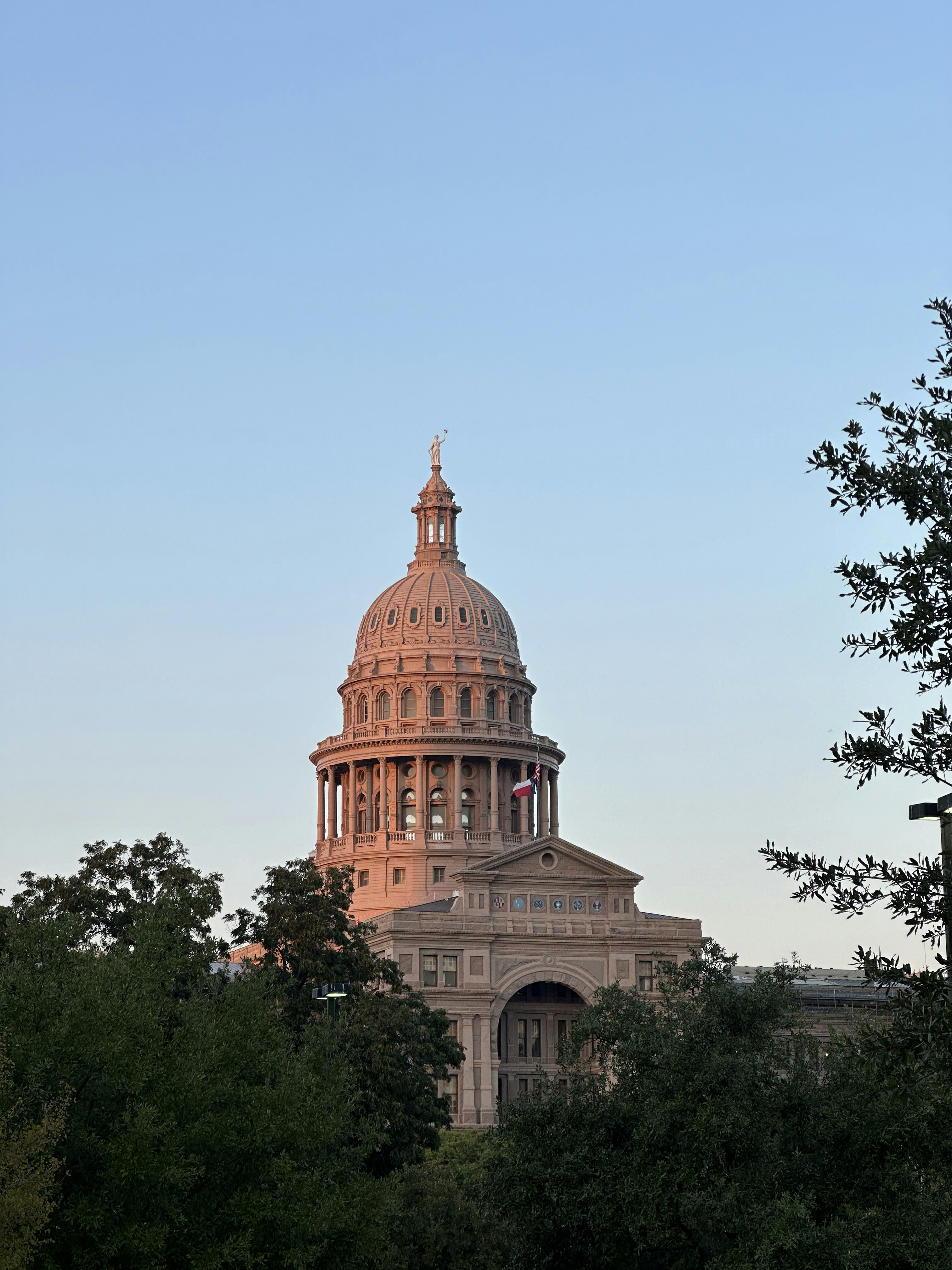 Capitol Dome in Evening Light Over a Green Canopy
